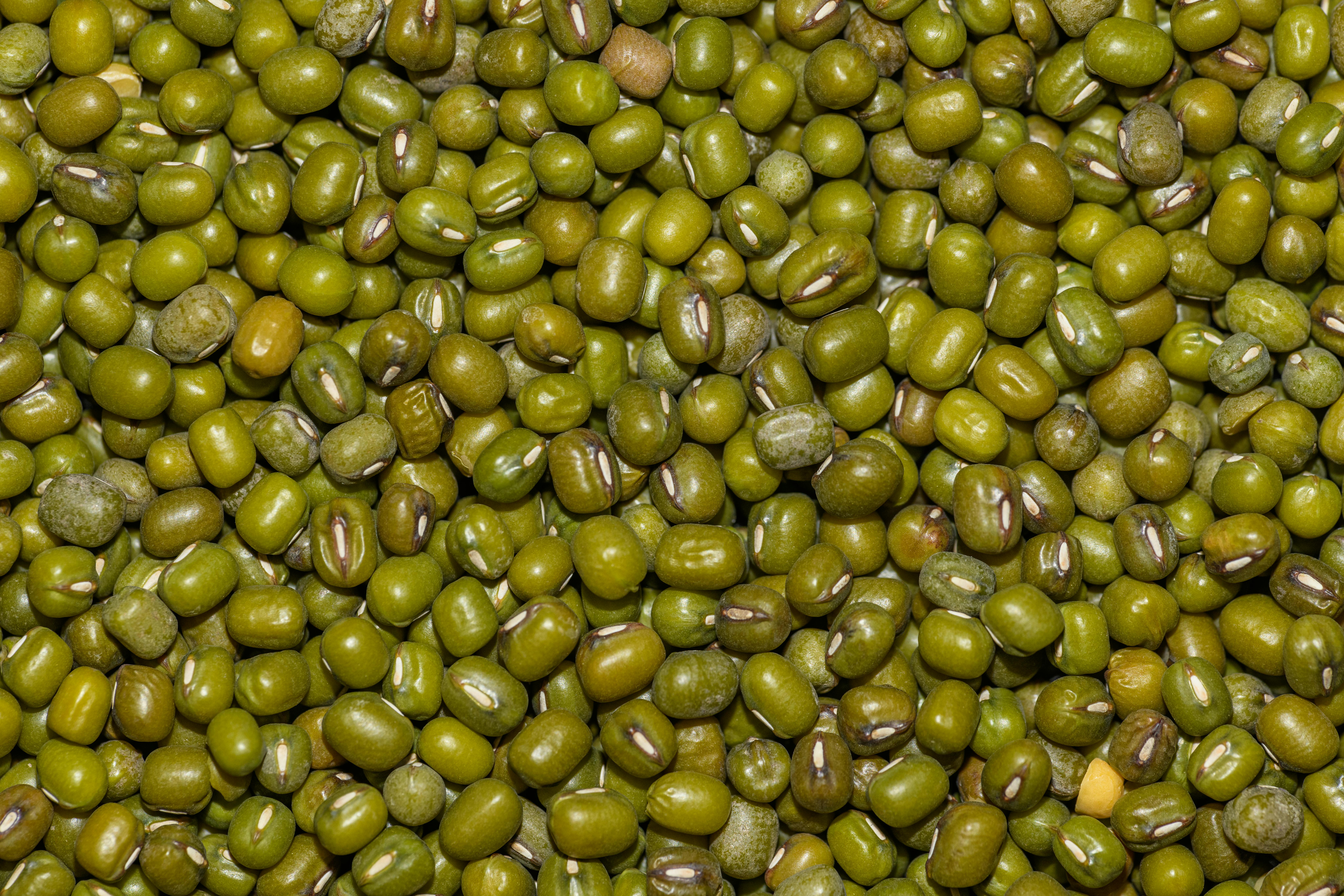 Close-Up Photo of a Pile of Green Mung Beans · Free Stock Photo