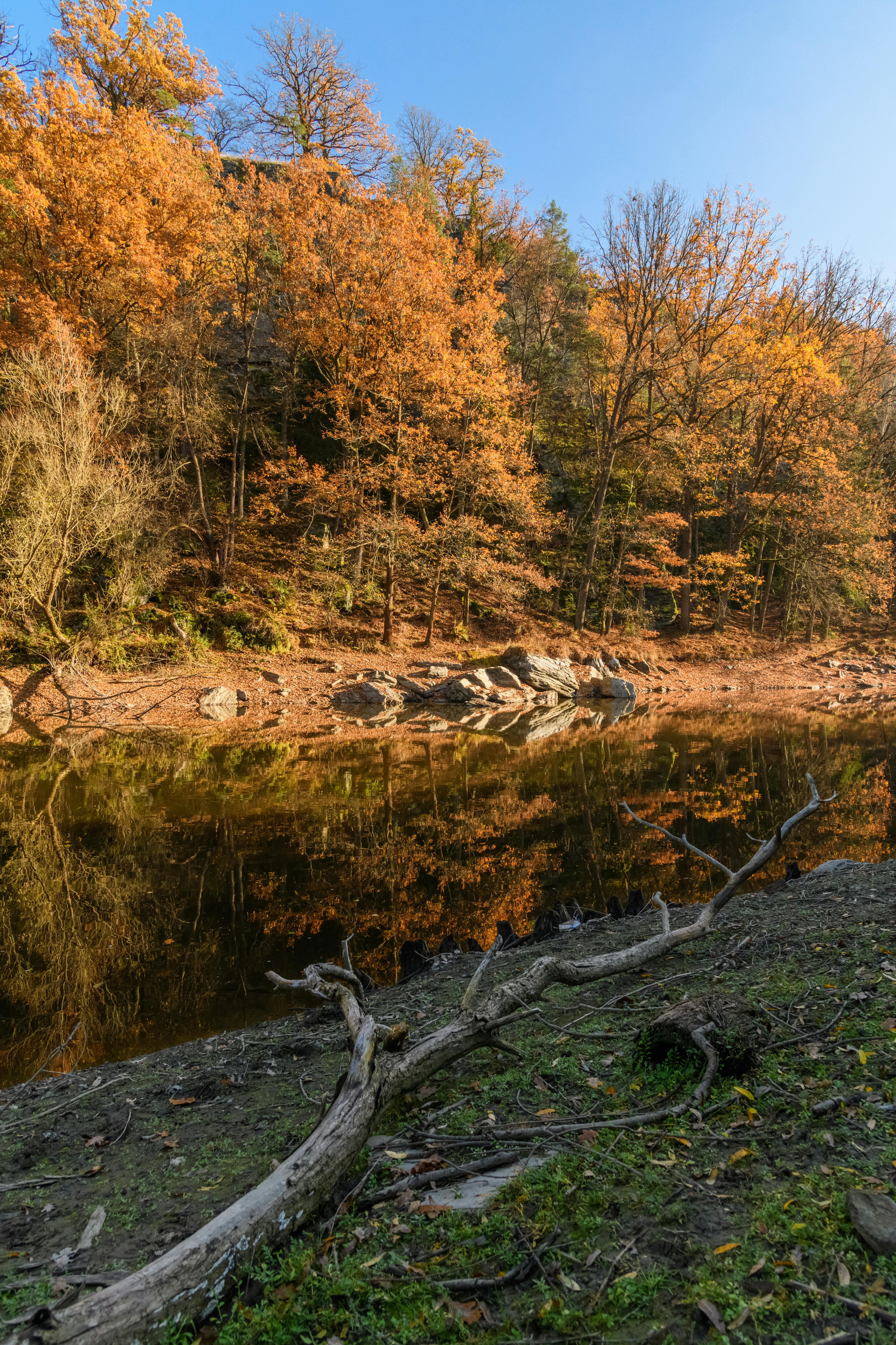 Autumn Lake Photos, Download The BEST Free Autumn Lake Stock Photos ...