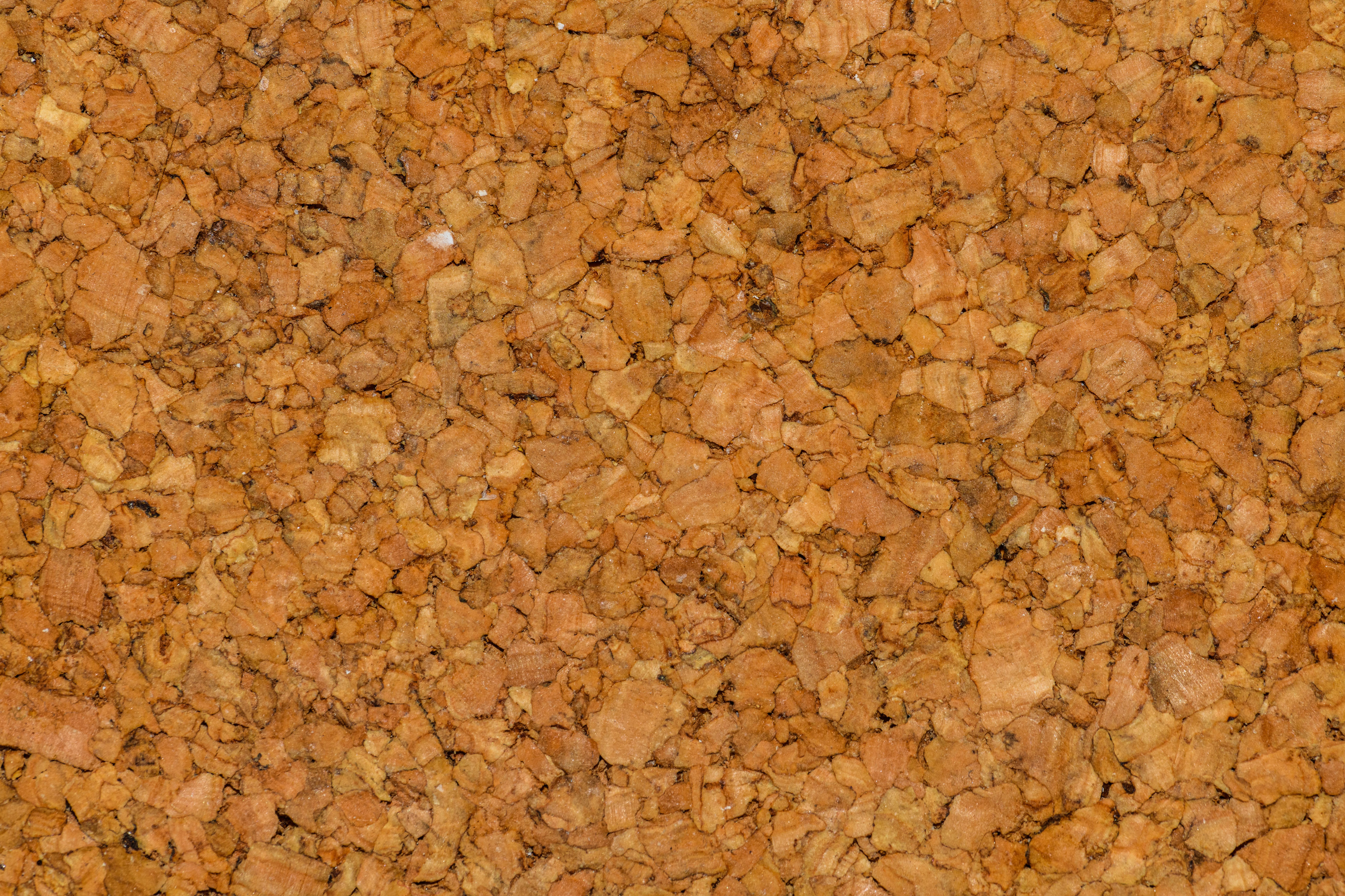 Close-up of a Cork Board · Free Stock Photo