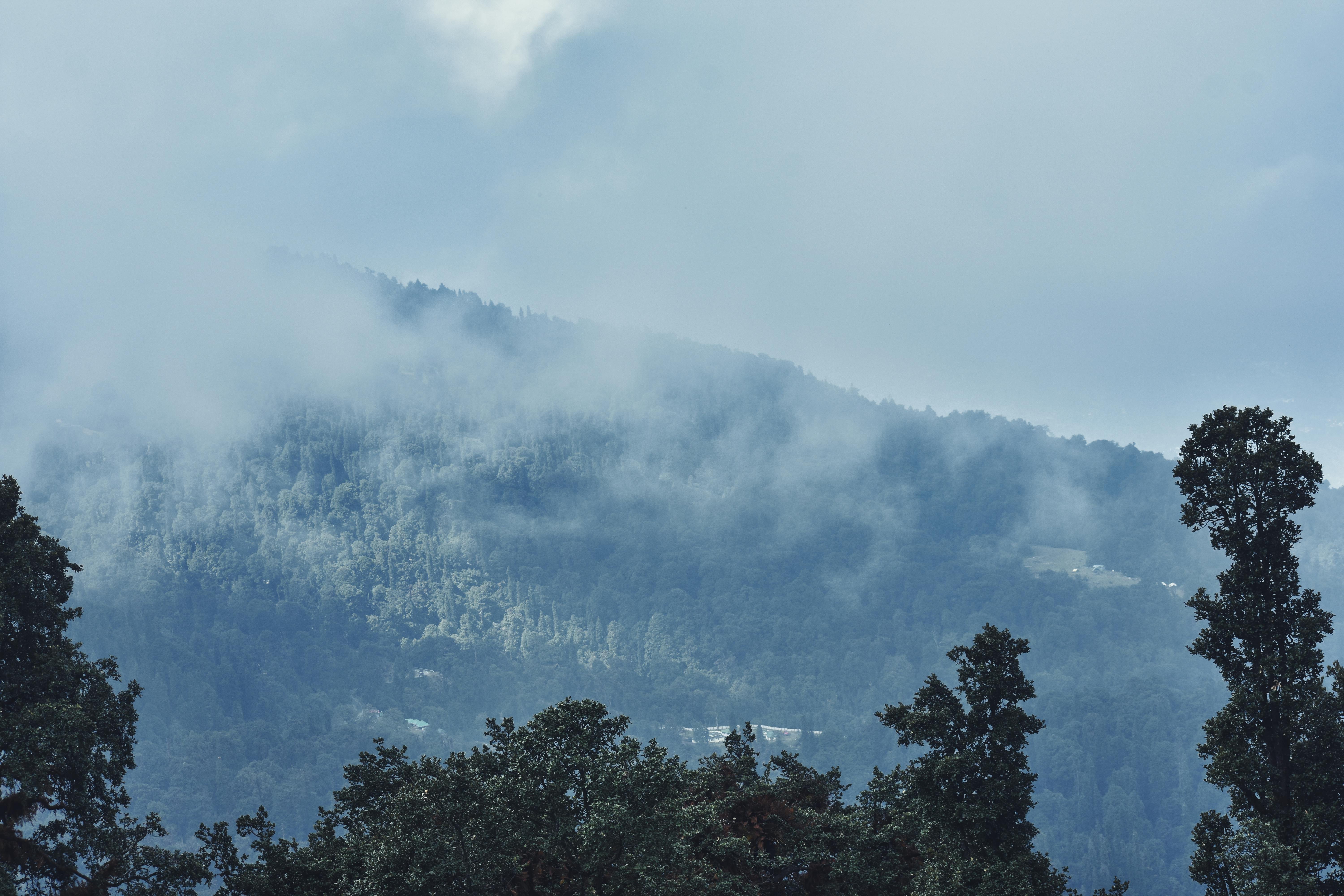 Forest Mountain Hidden in Mist · Free Stock Photo
