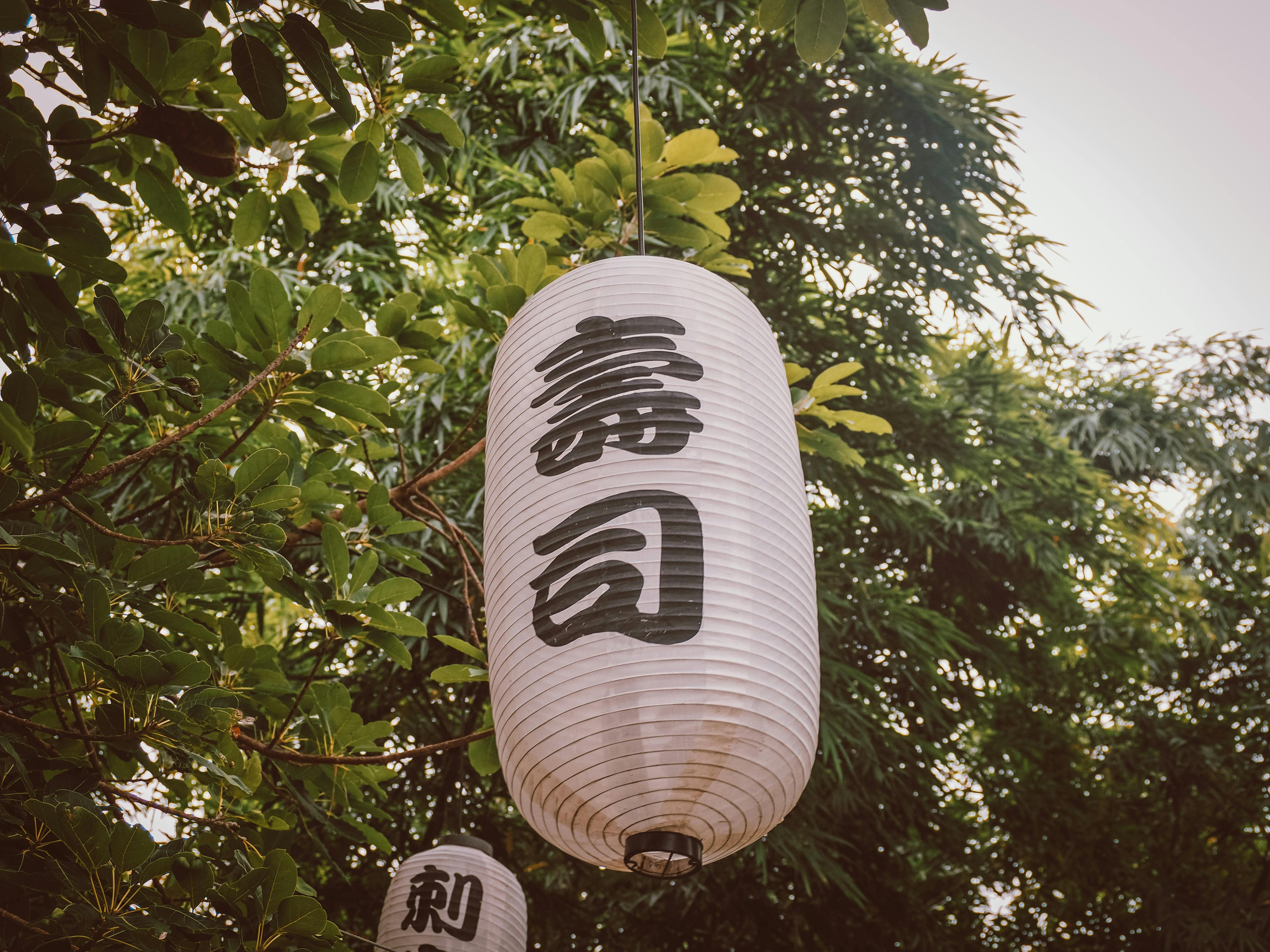 White Lanterns with Japanese Signs Hanging on a Tree · Free Stock Photo