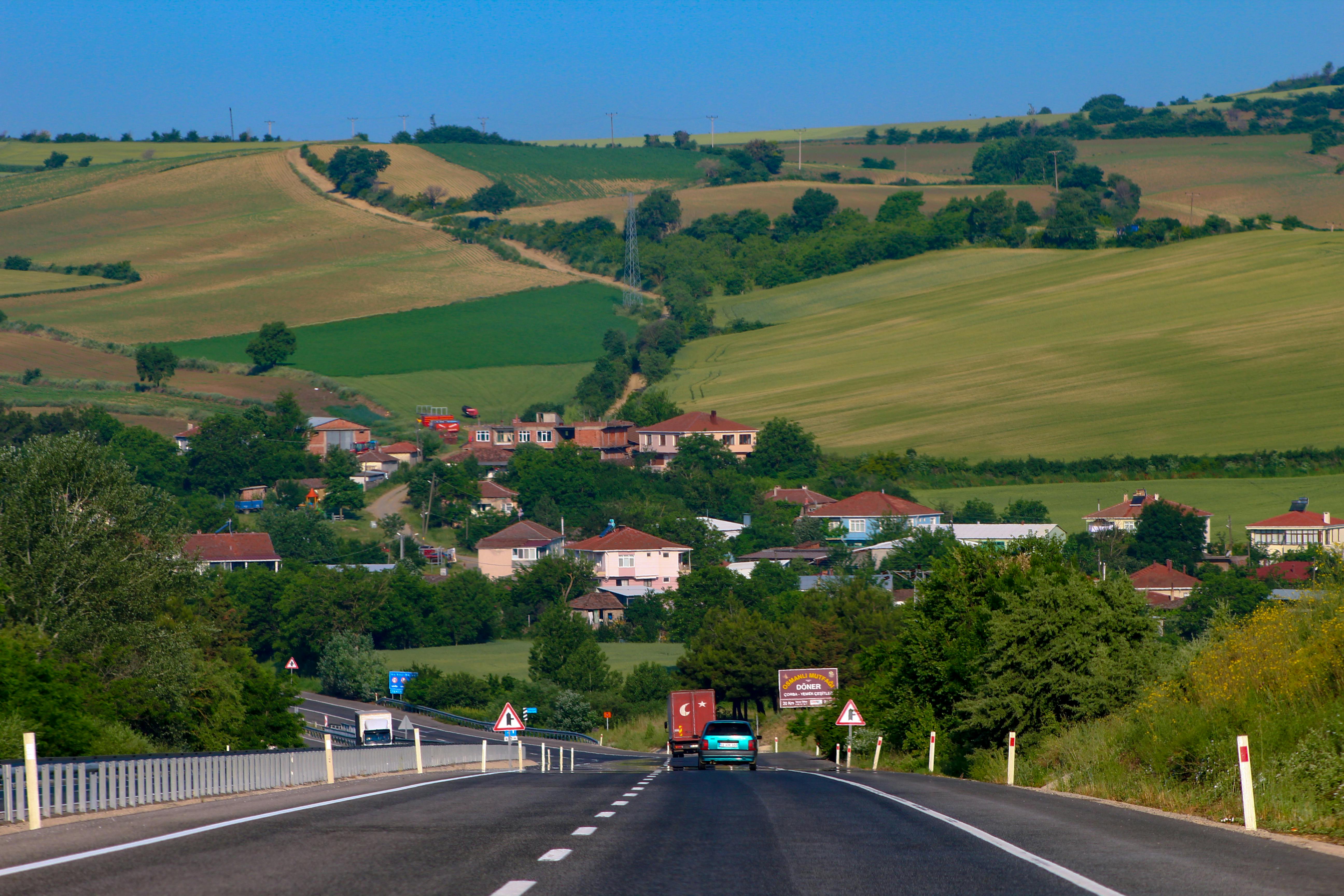 Photography of Asphalt Road Near Trees · Free Stock Photo