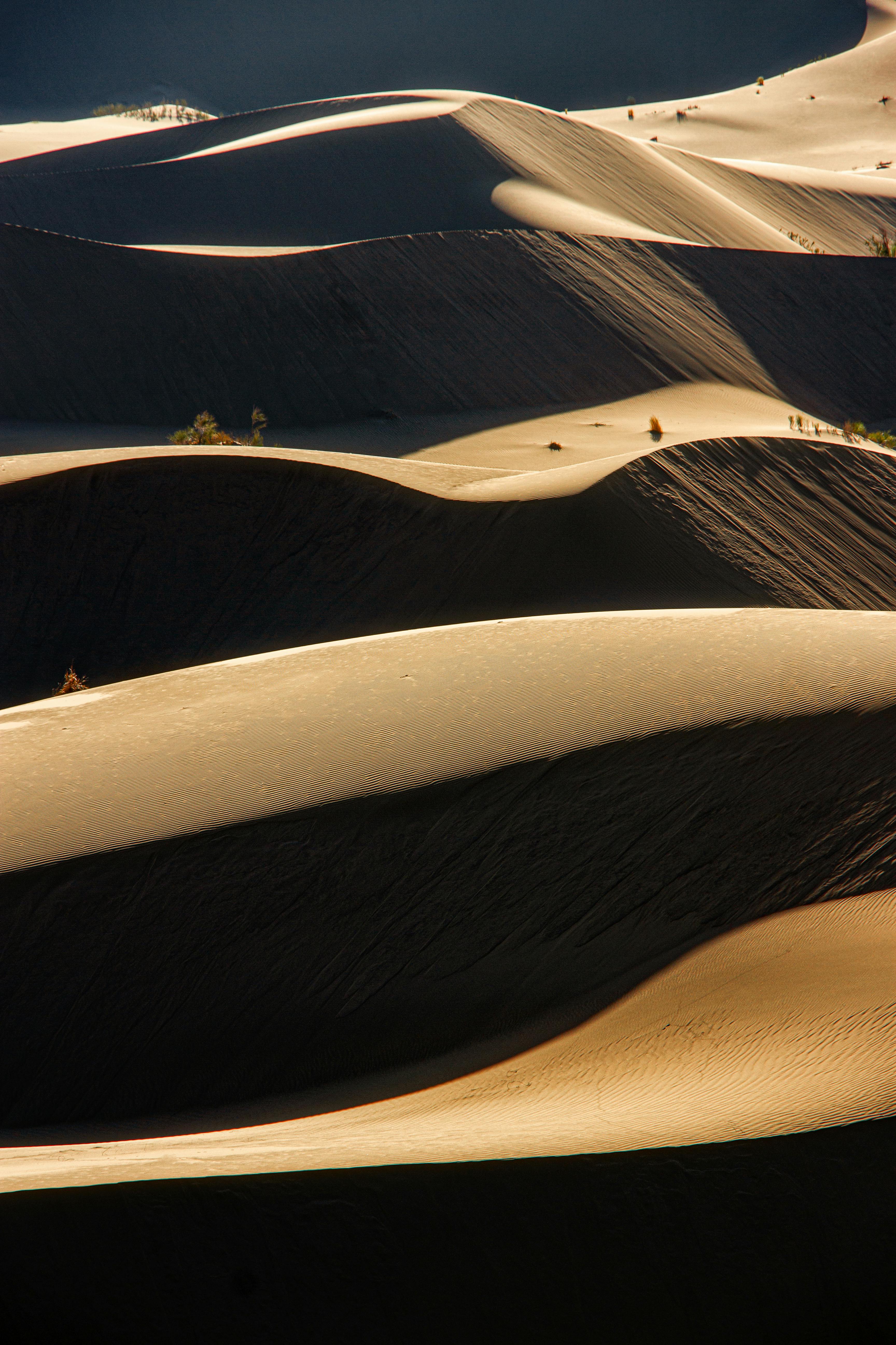 Sunlit Dunes on Desert · Free Stock Photo