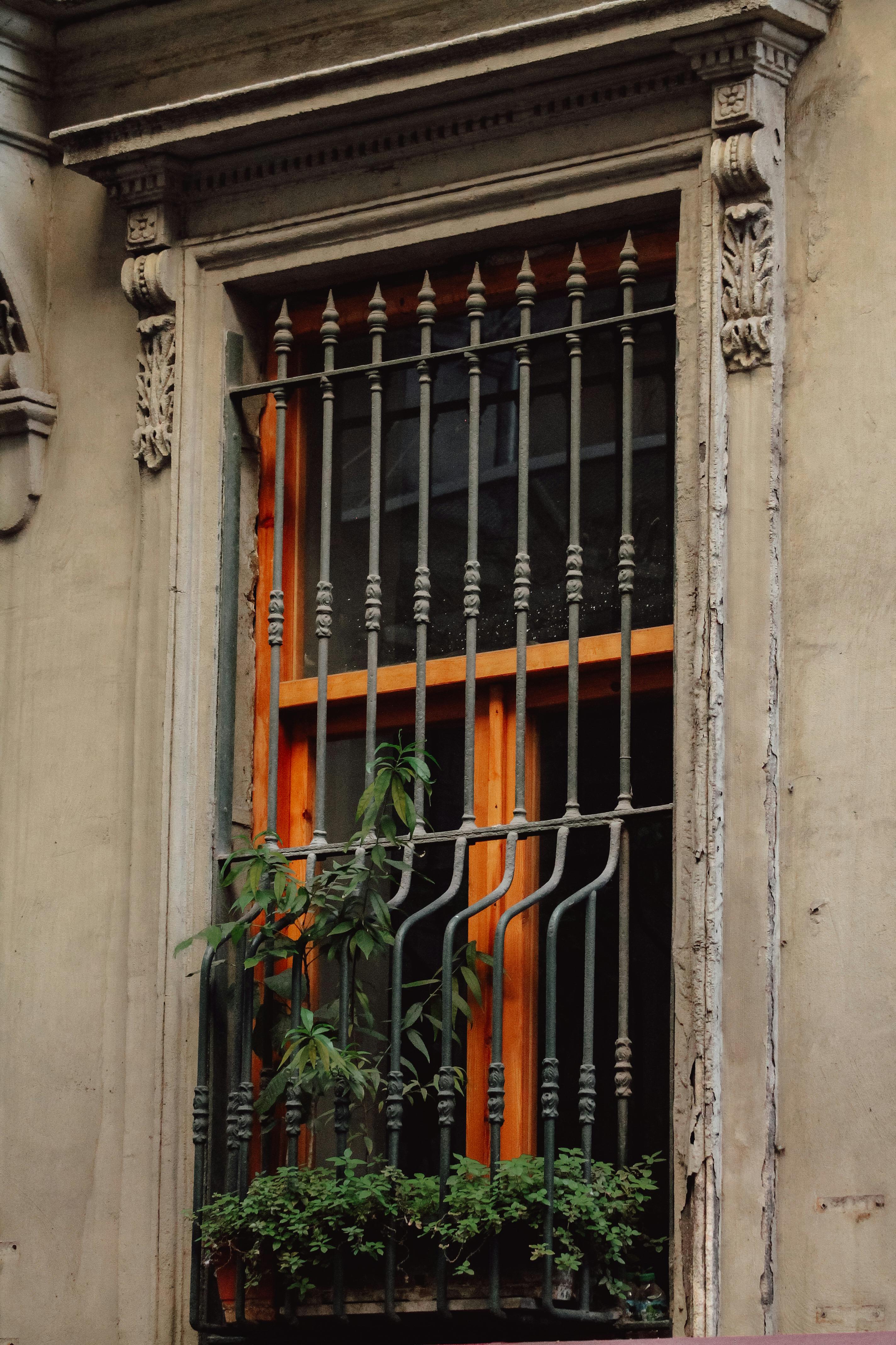 Bars and Plants Leaves in Window · Free Stock Photo