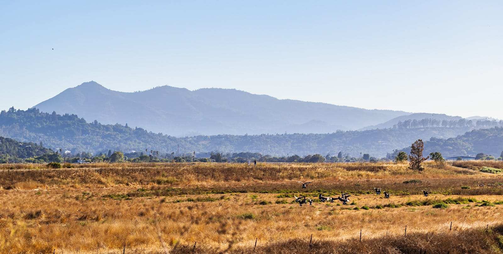 Nature No Copyright Landscape Photos, Download The BEST Free Nature No ...