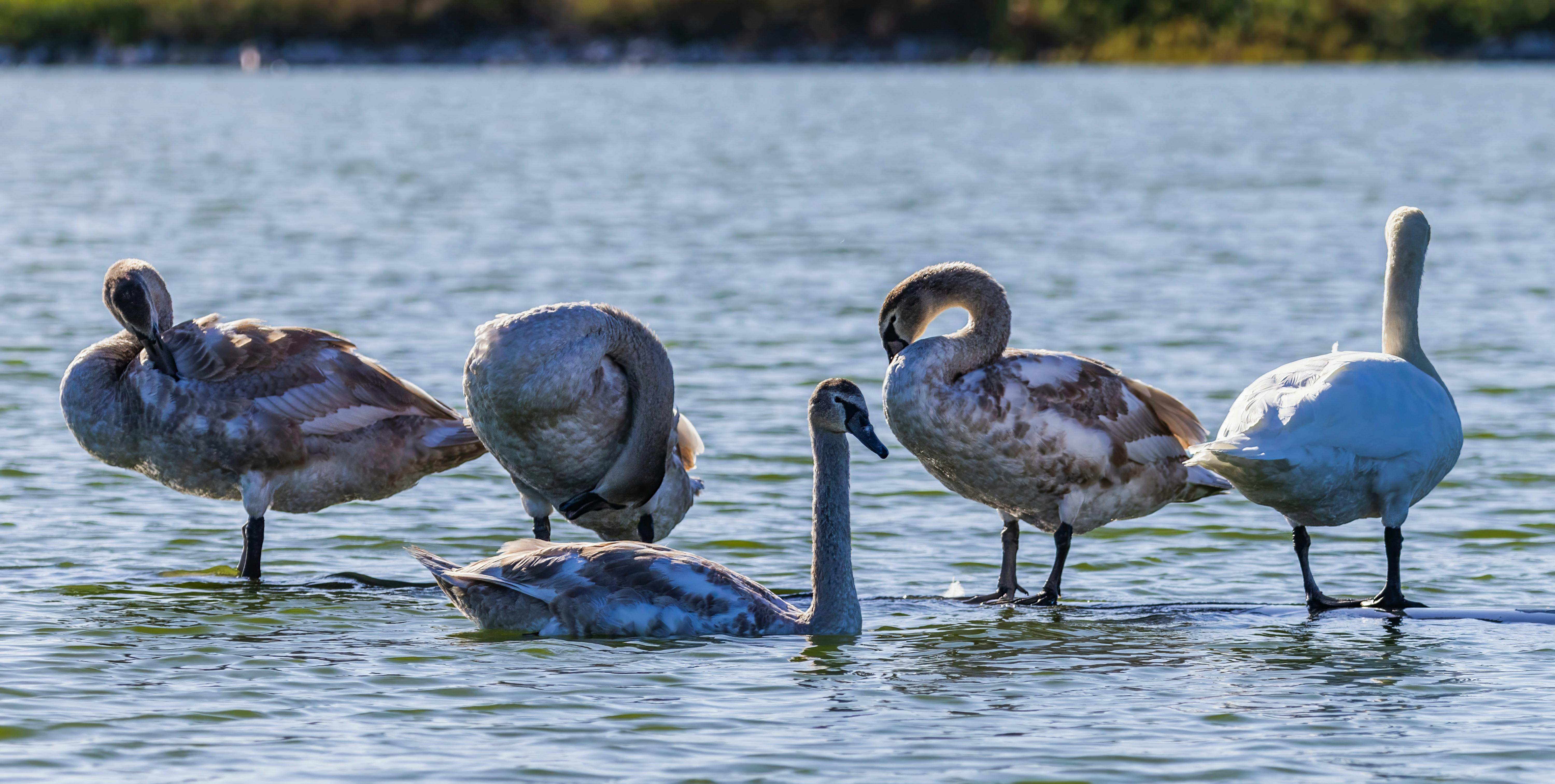 Panorama Meer Photos, Download The BEST Free Panorama Meer Stock Photos ...