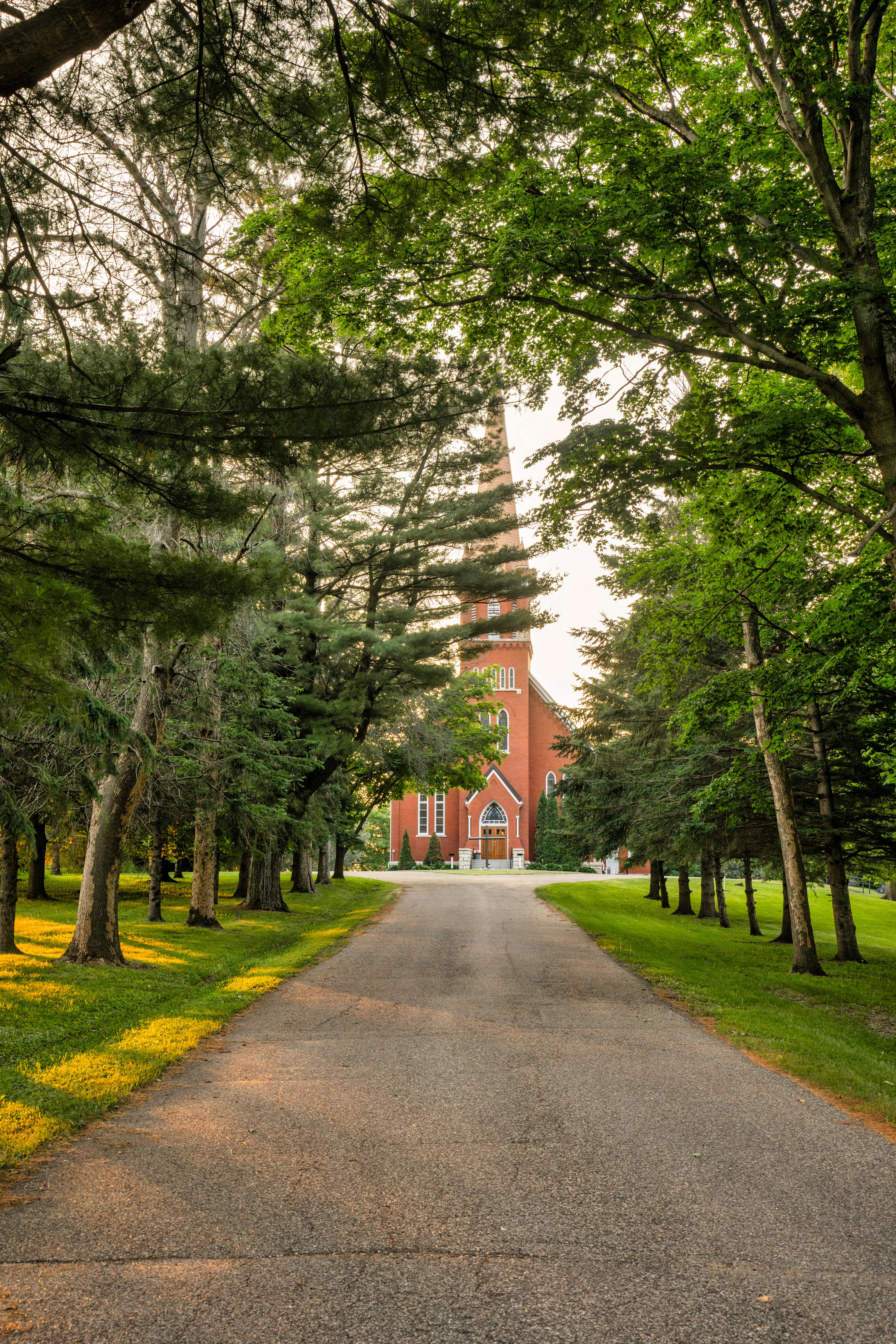 Green Trees along an Asphalt Footpath Leading to a Church · Free Stock ...