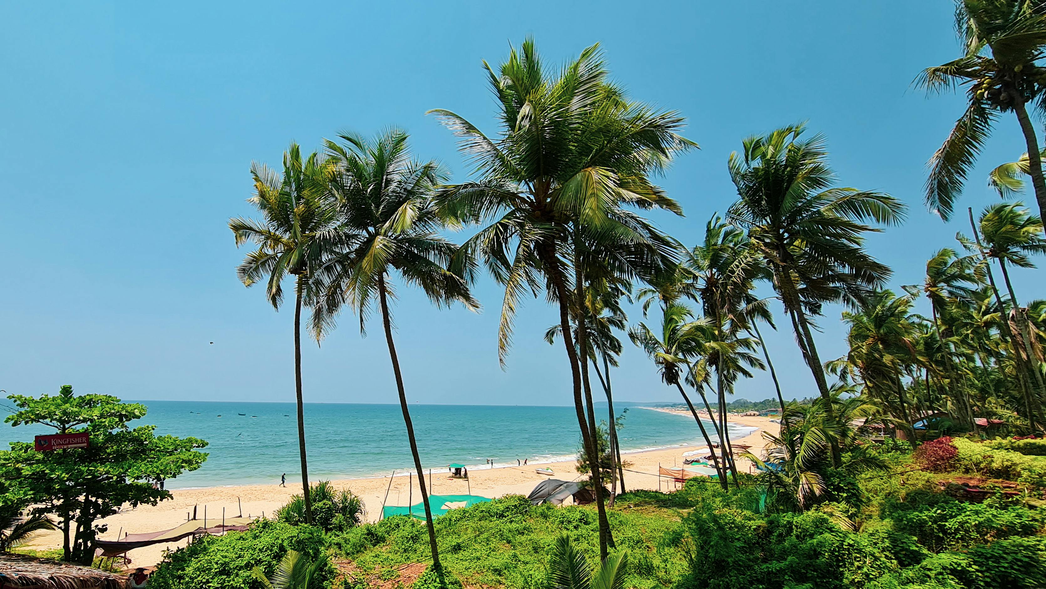 David Rodrigues – Fotografia