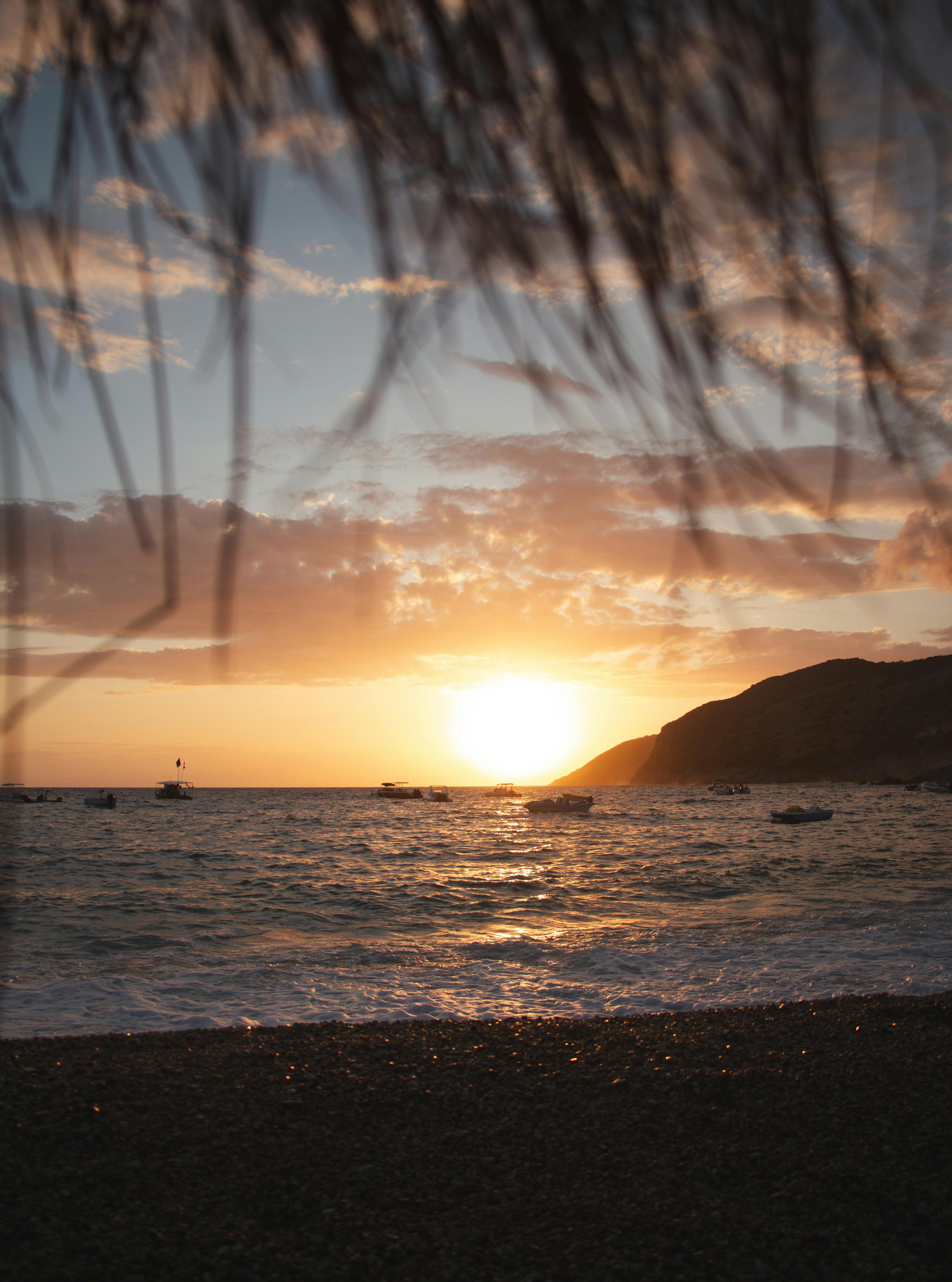 Summer Nature Photos, Download The BEST Free Summer Nature Stock Photos ...