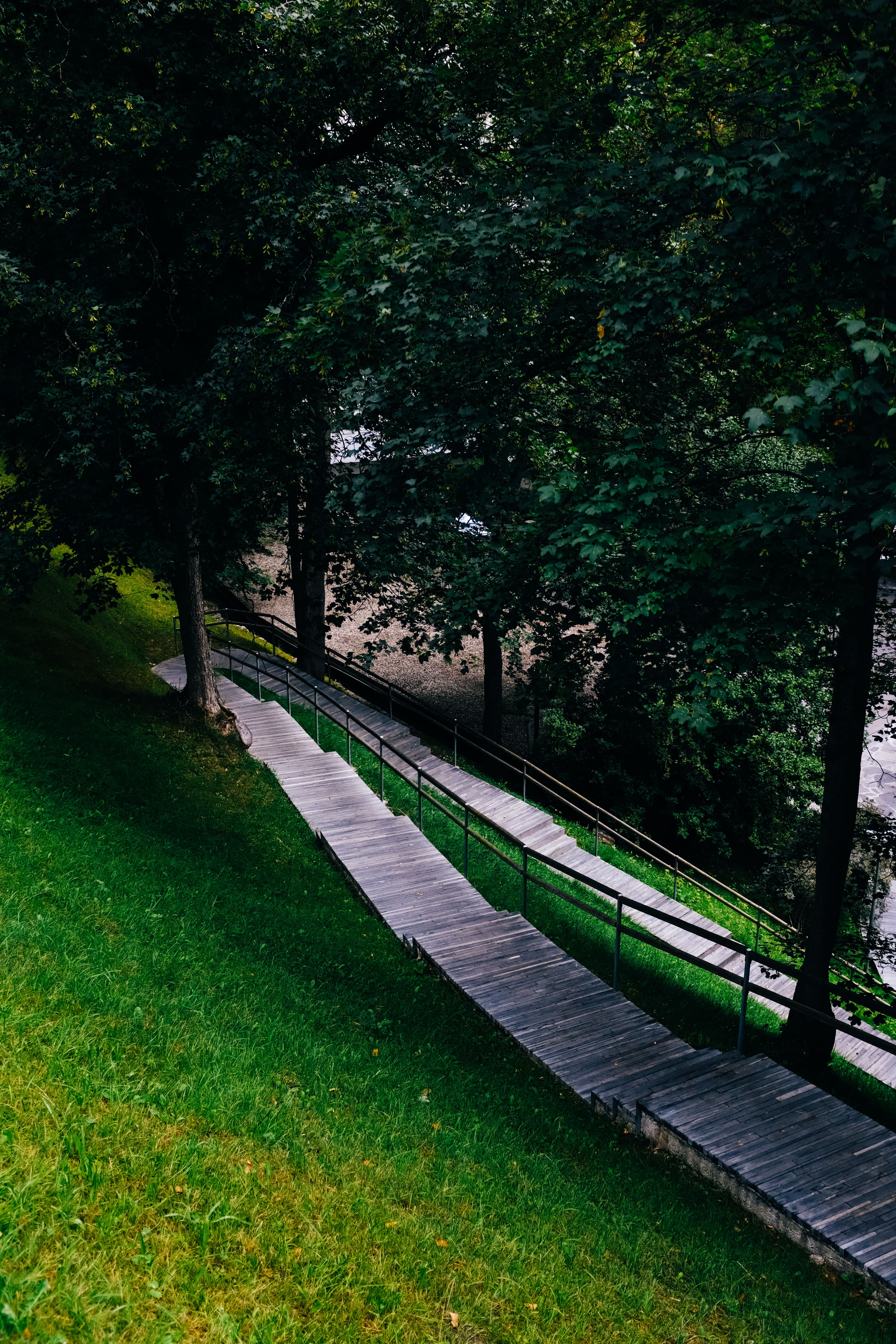 Woman Walking At The Park · Free Stock Photo