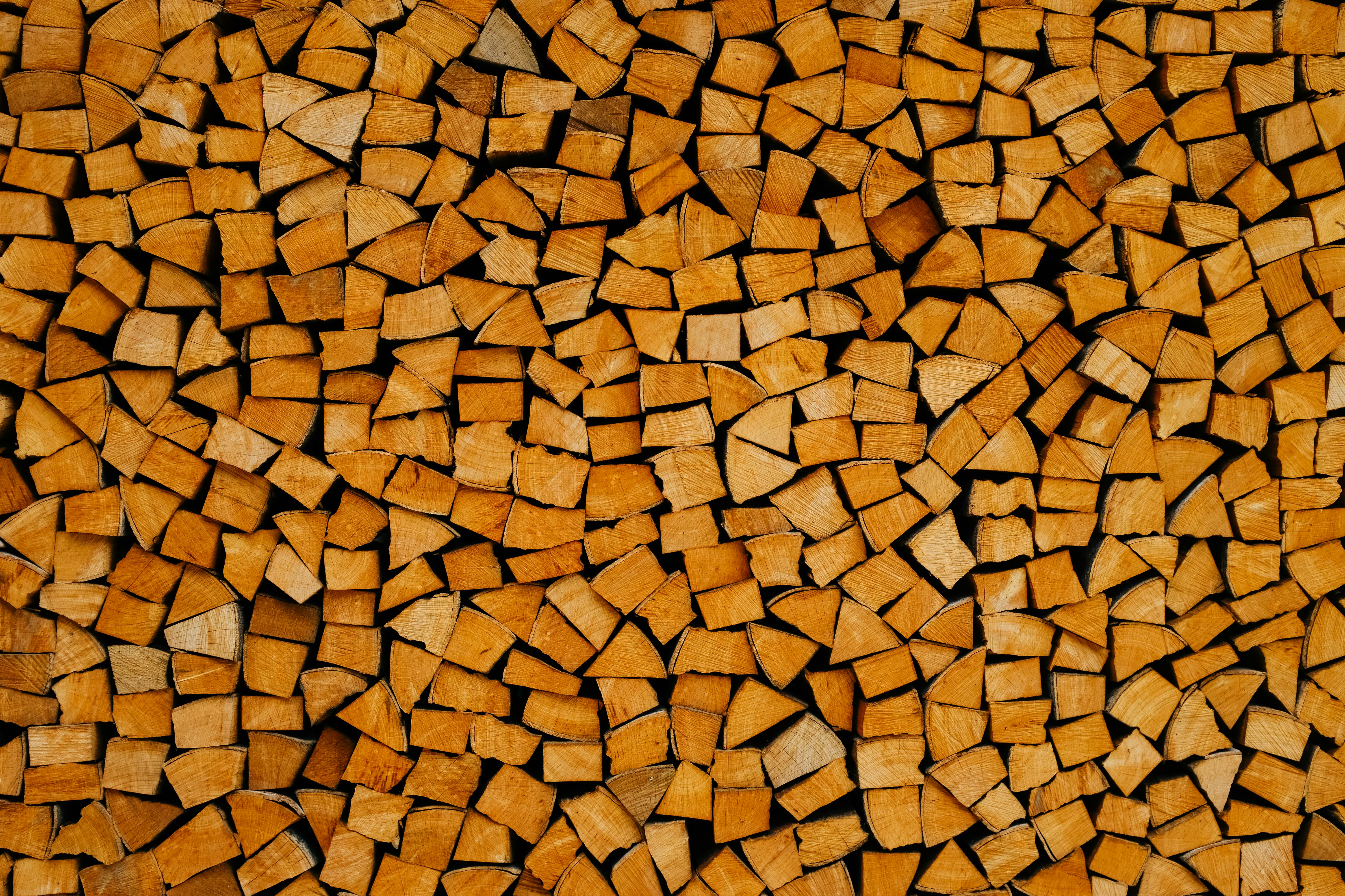 Close up on chopped timber · Free Stock Photo