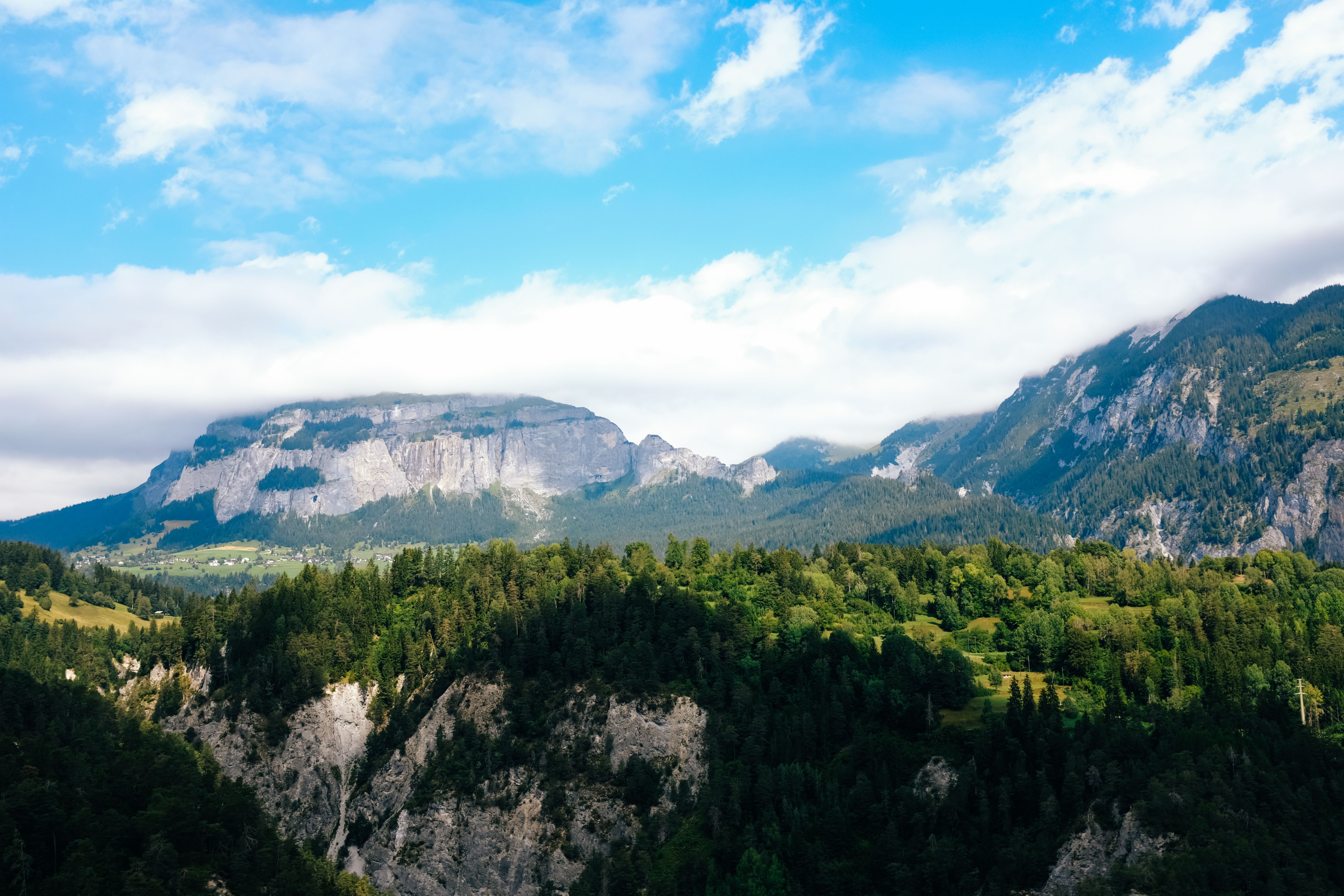 Photo of Mountain and Forest Scenery · Free Stock Photo