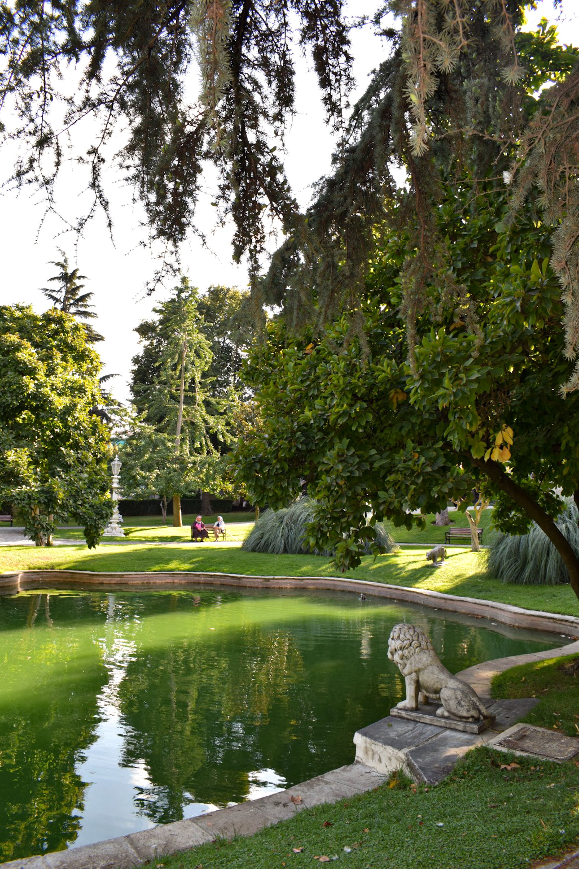 Park Scenery Photos, Download The BEST Free Park Scenery Stock Photos ...