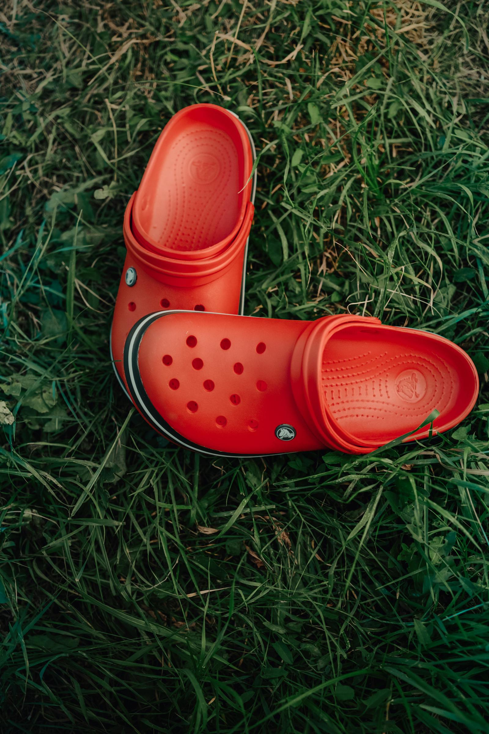 Crocs Photos, Download The BEST Free Crocs Stock Photos & HD Images