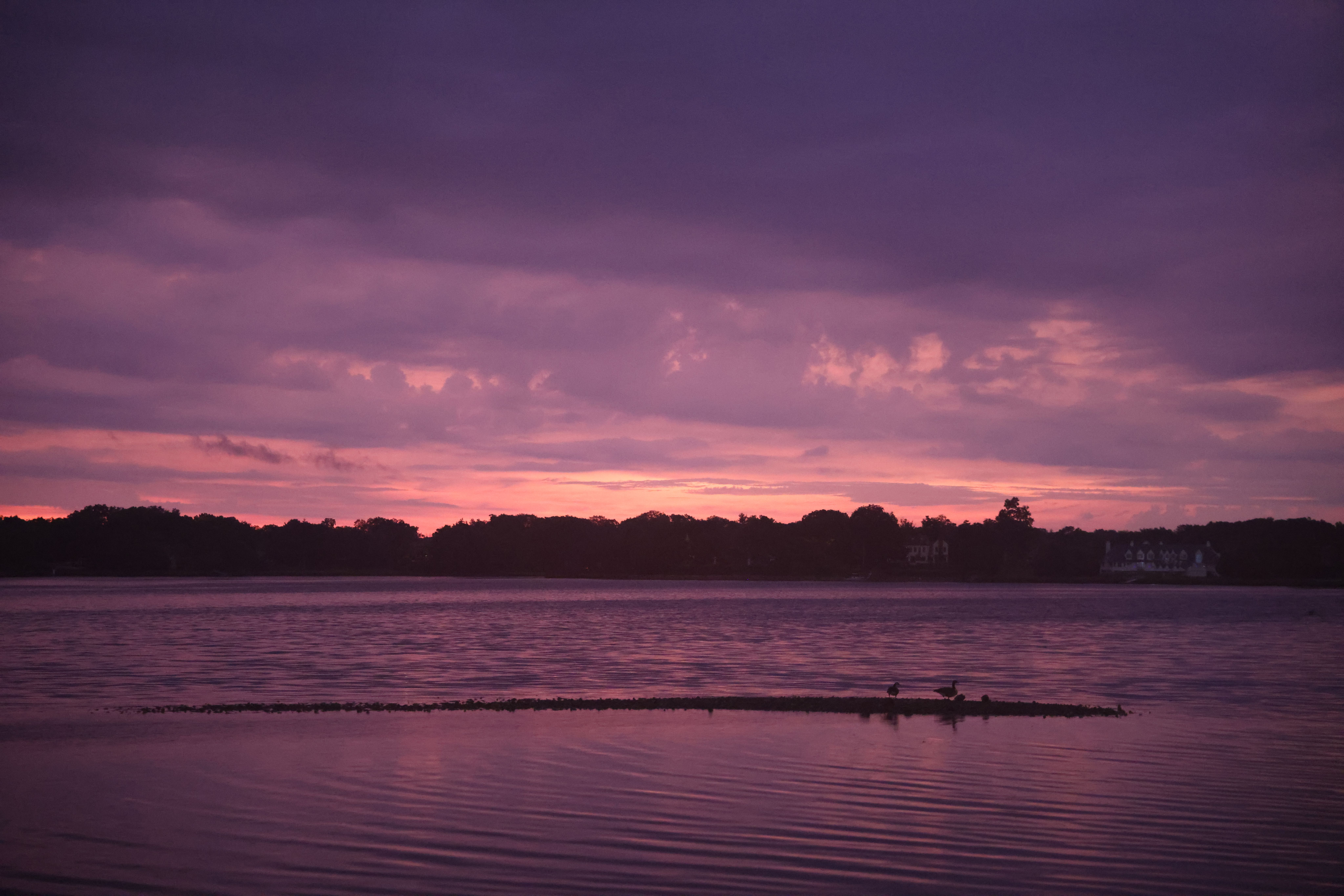 Purple Sky over Sea in Morning · Free Stock Photo