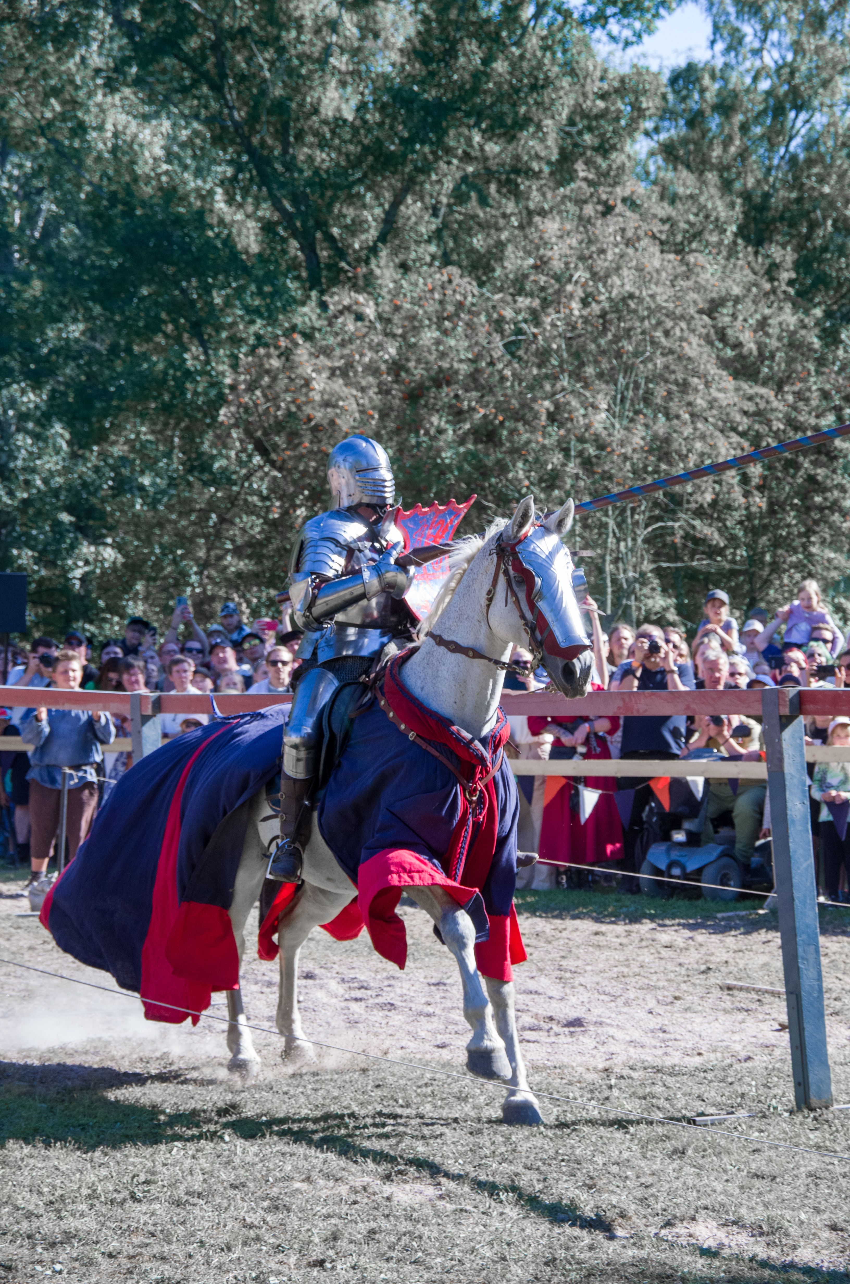10+ Larp Bilder und Fotos · Kostenlos Downloaden · Pexels Stock-Fotos