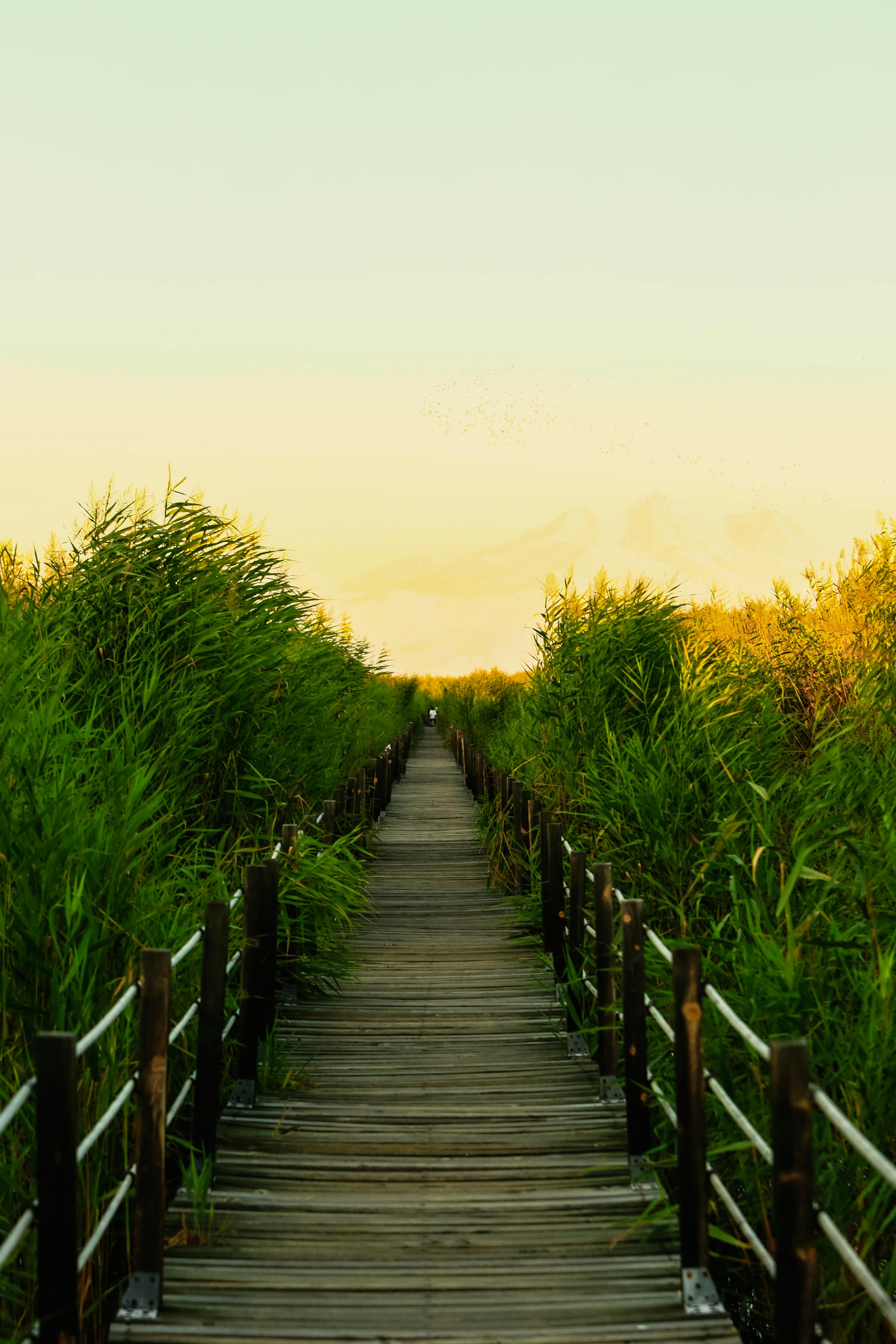 Walkathon Trail Photos, Download The BEST Free Walkathon Trail Stock ...