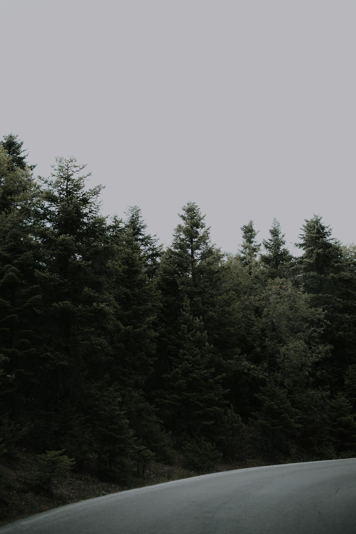 Turn Up Photos, Download The BEST Free Turn Up Stock Photos & HD Images