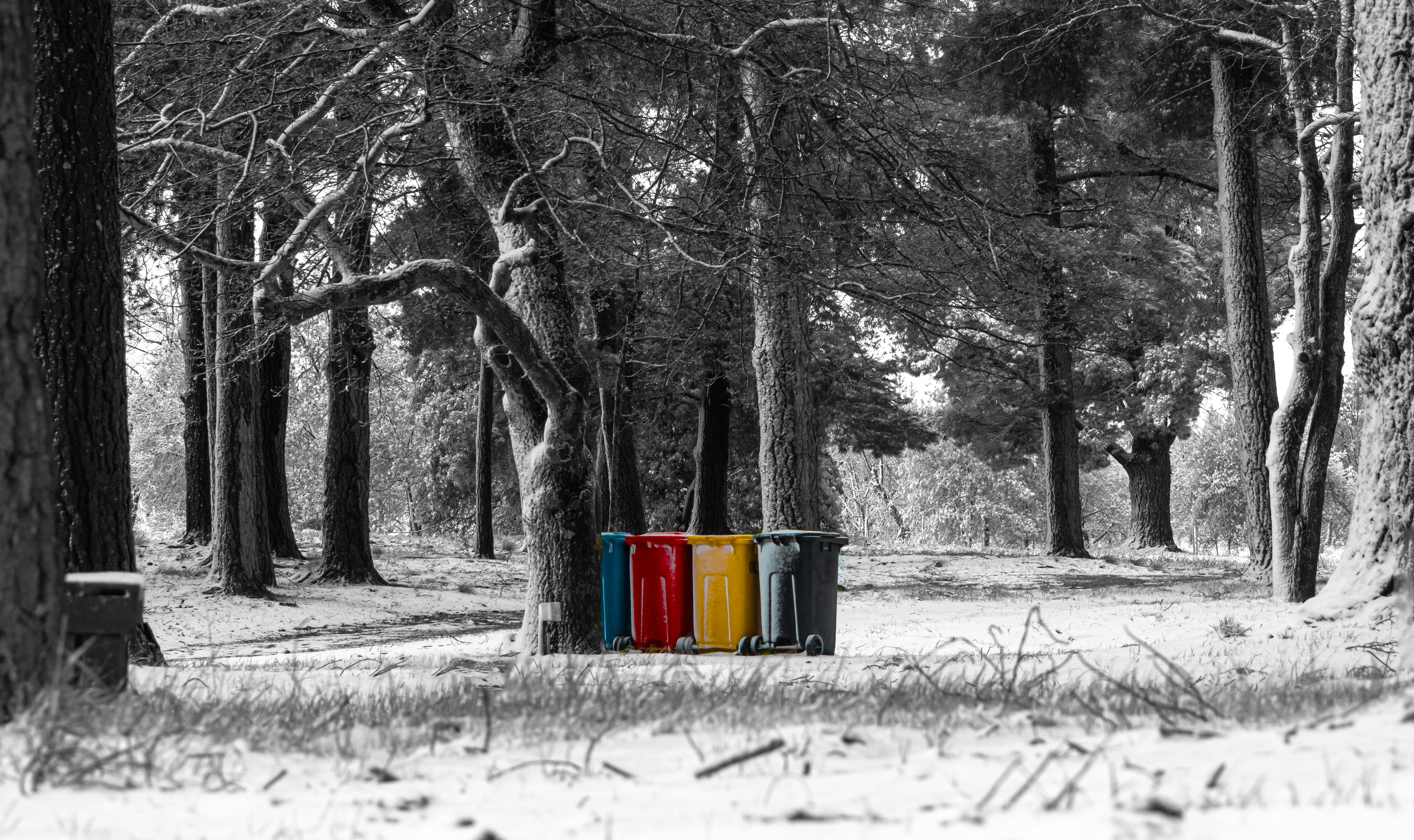 Black and White Photo with a Pop of Color Picturing Trash Cans Standing ...