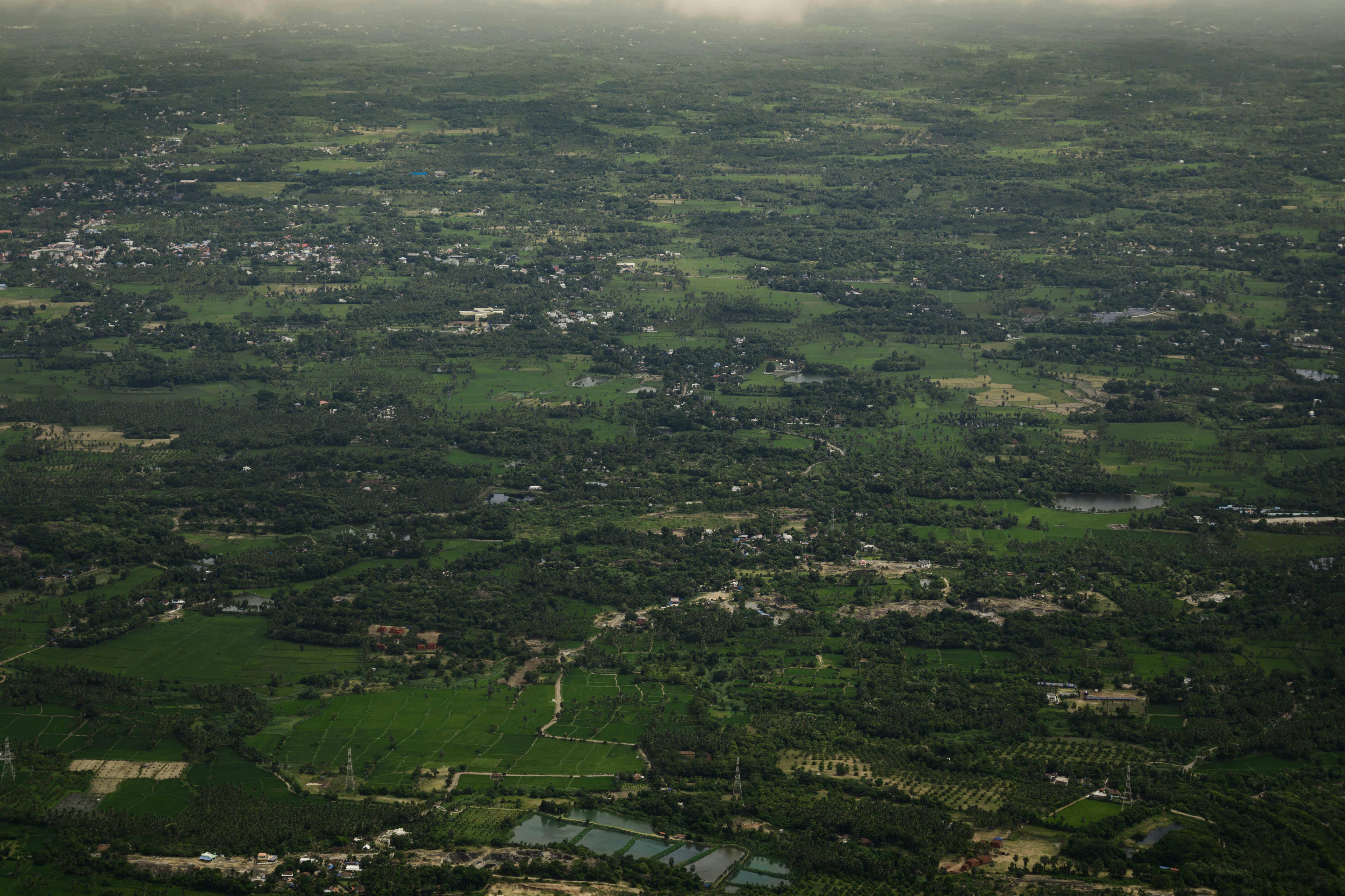 Green Plains Landscape · Free Stock Photo