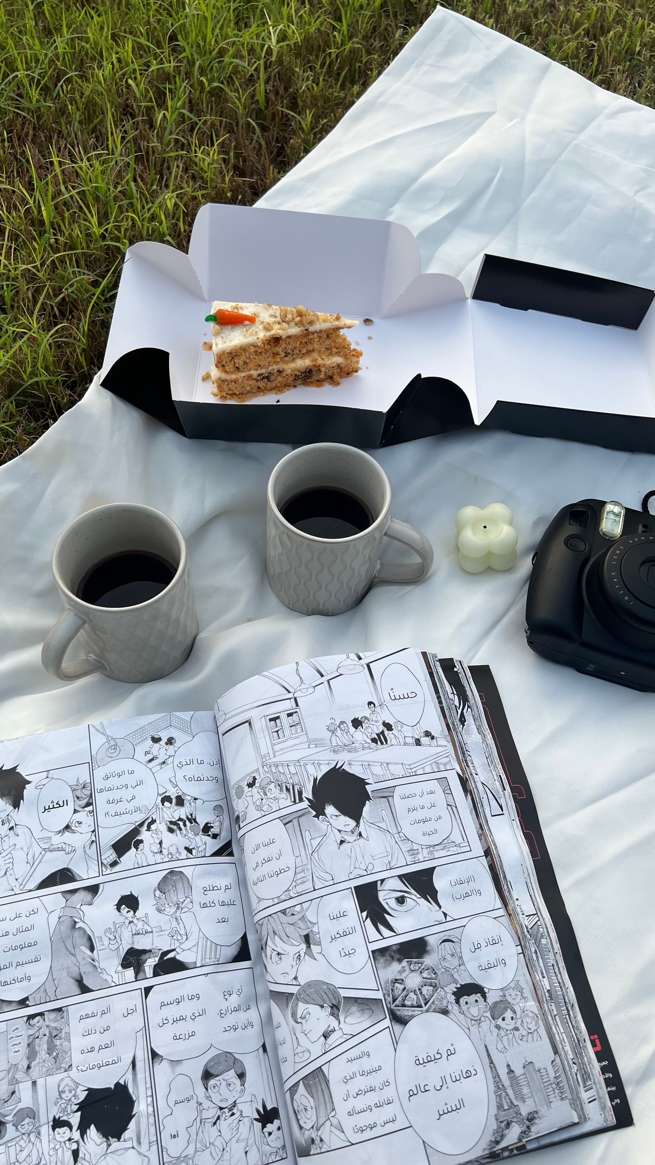Comics Book on Picnic · Free Stock Photo