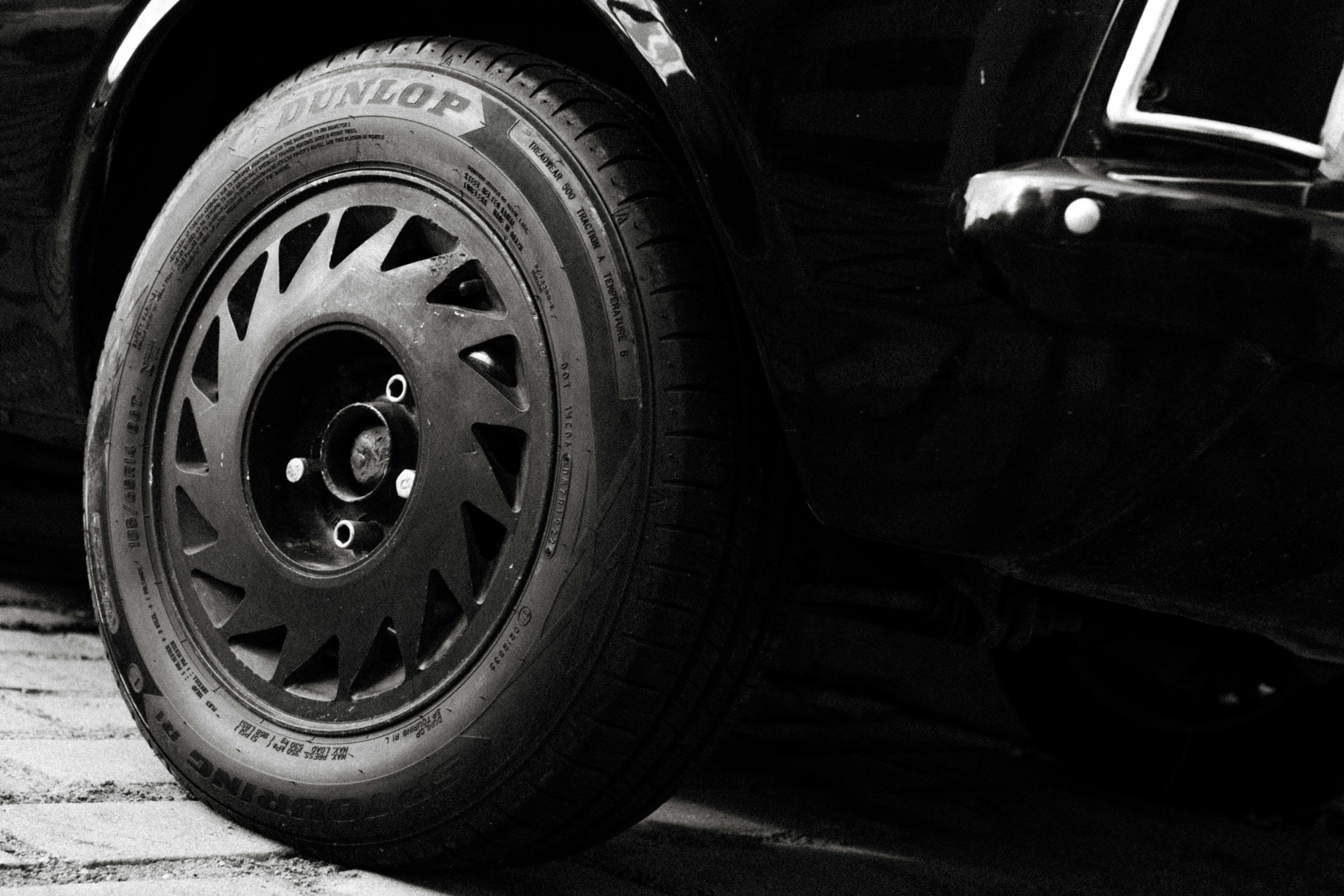 Wheel Spider Photos, Download The BEST Free Wheel Spider Stock Photos ...