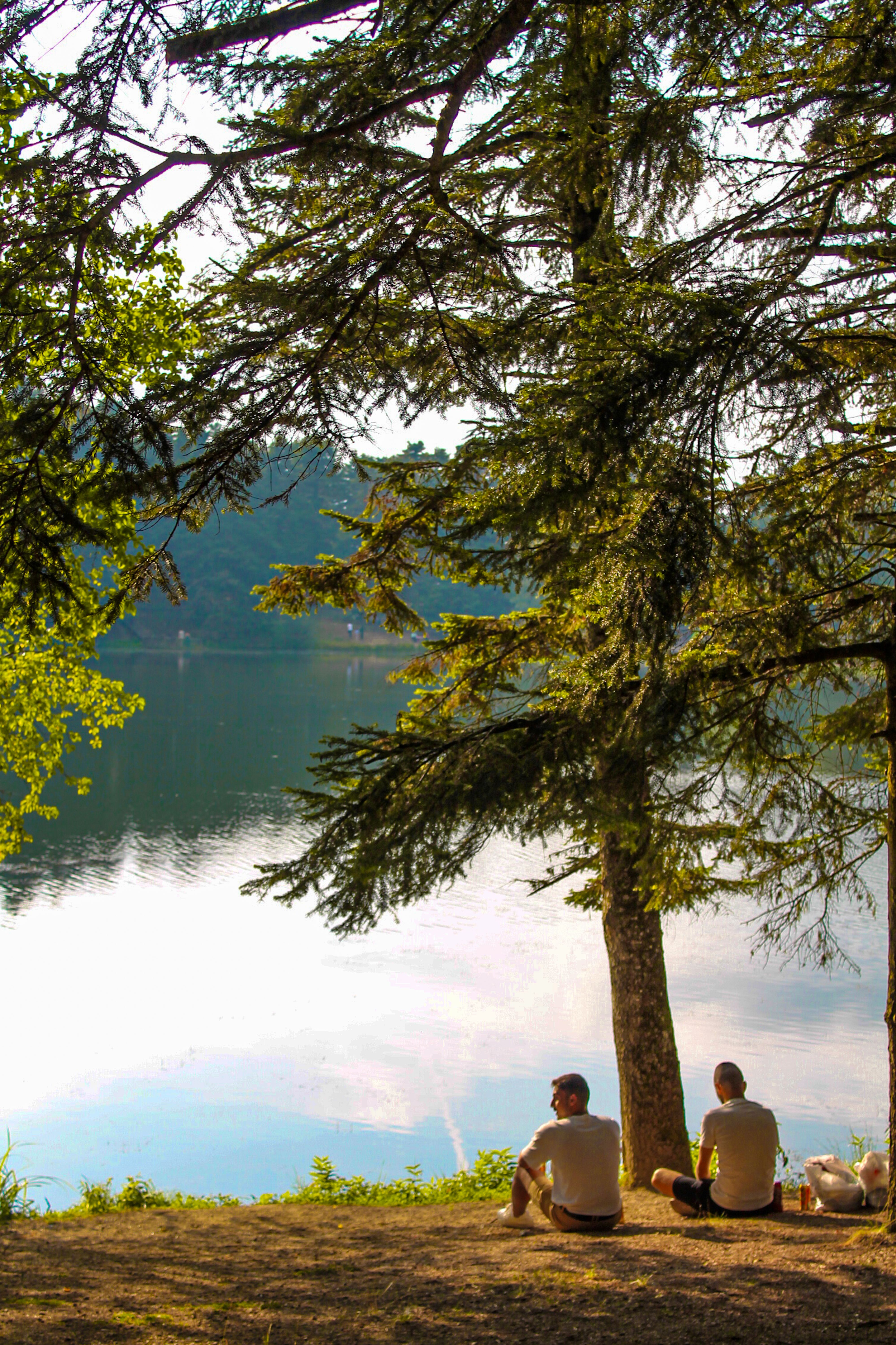 Men Sitting by the Lake · Free Stock Photo