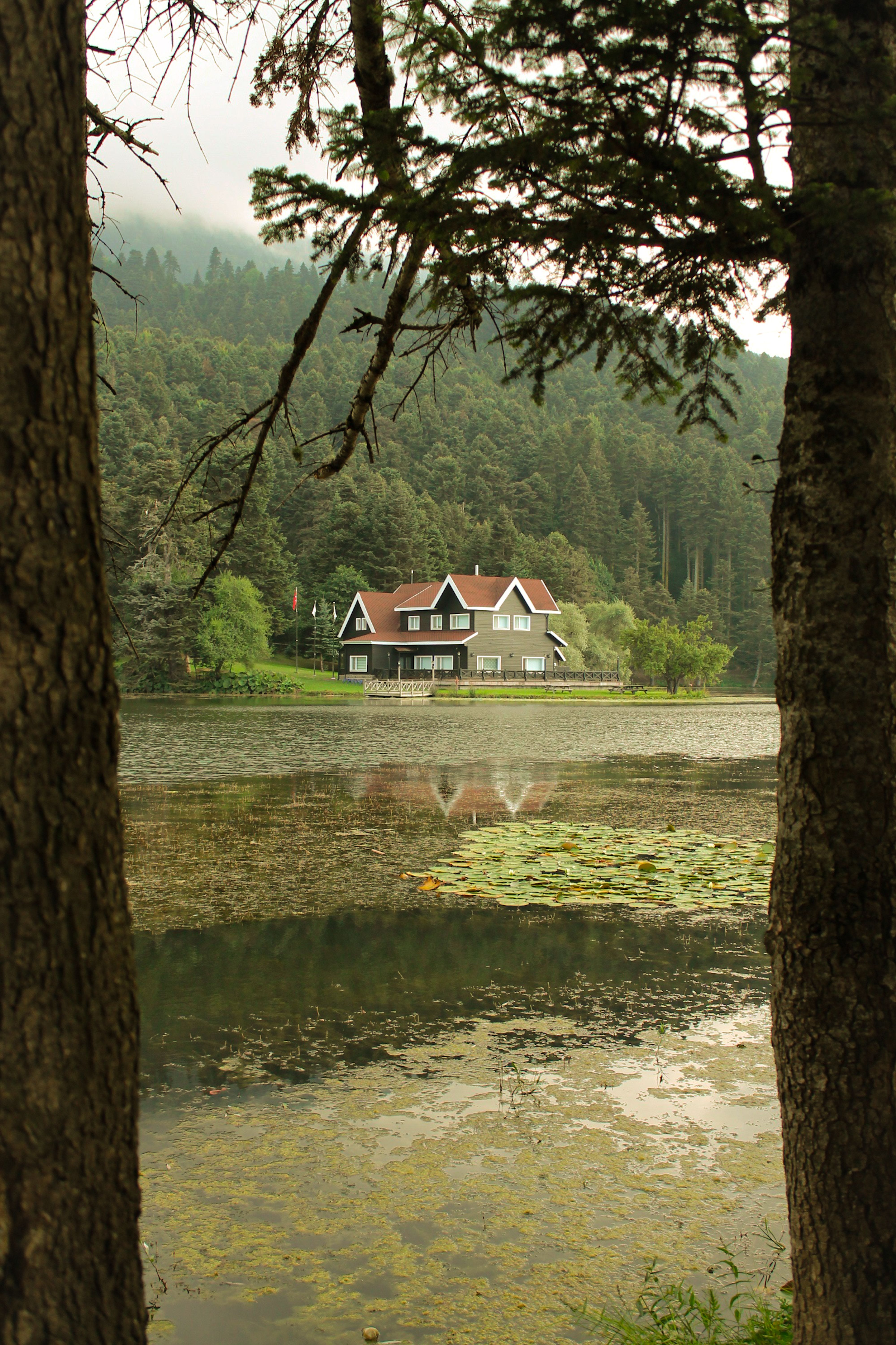 A House by a Lake · Free Stock Photo