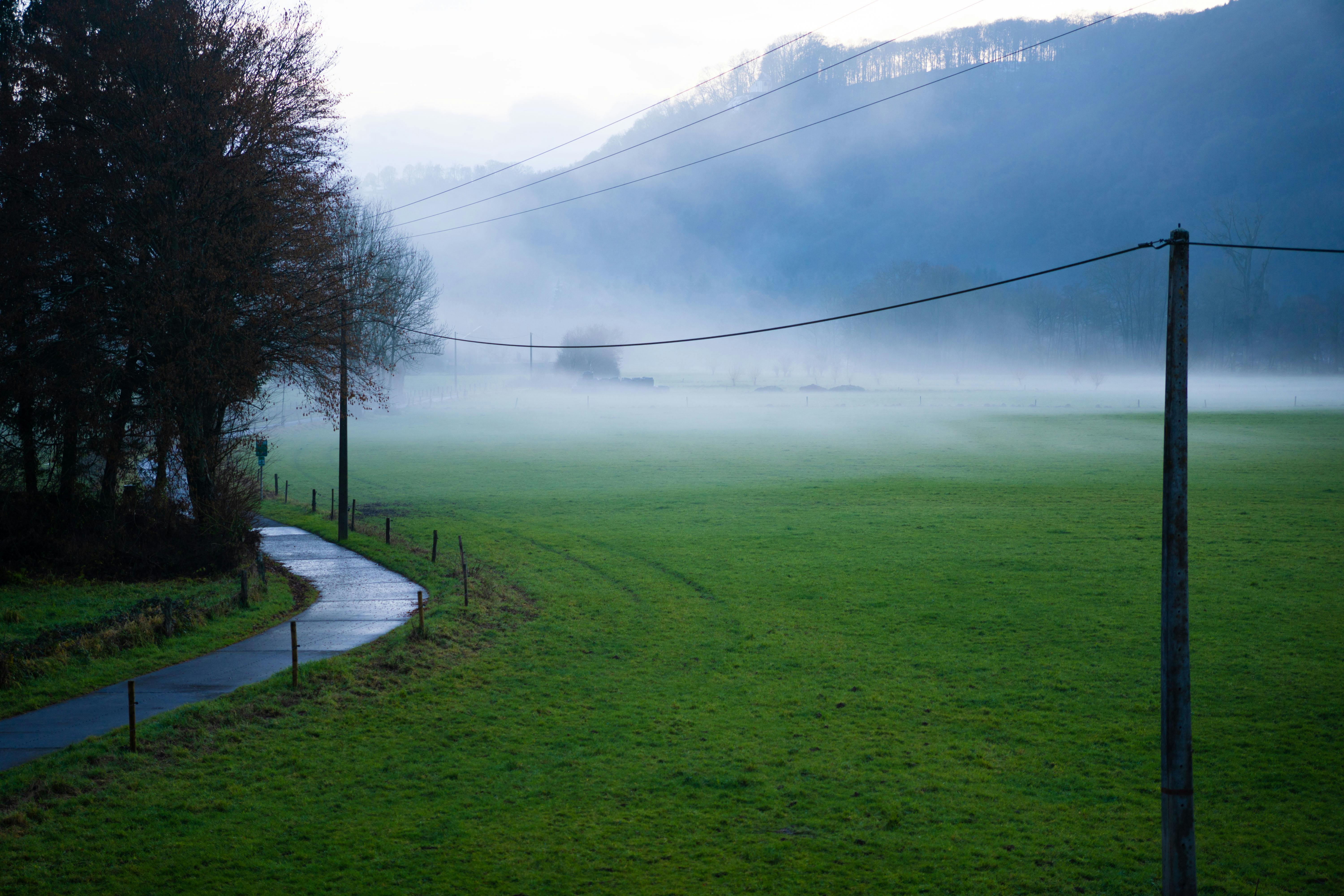 Green Field in Countryside · Free Stock Photo