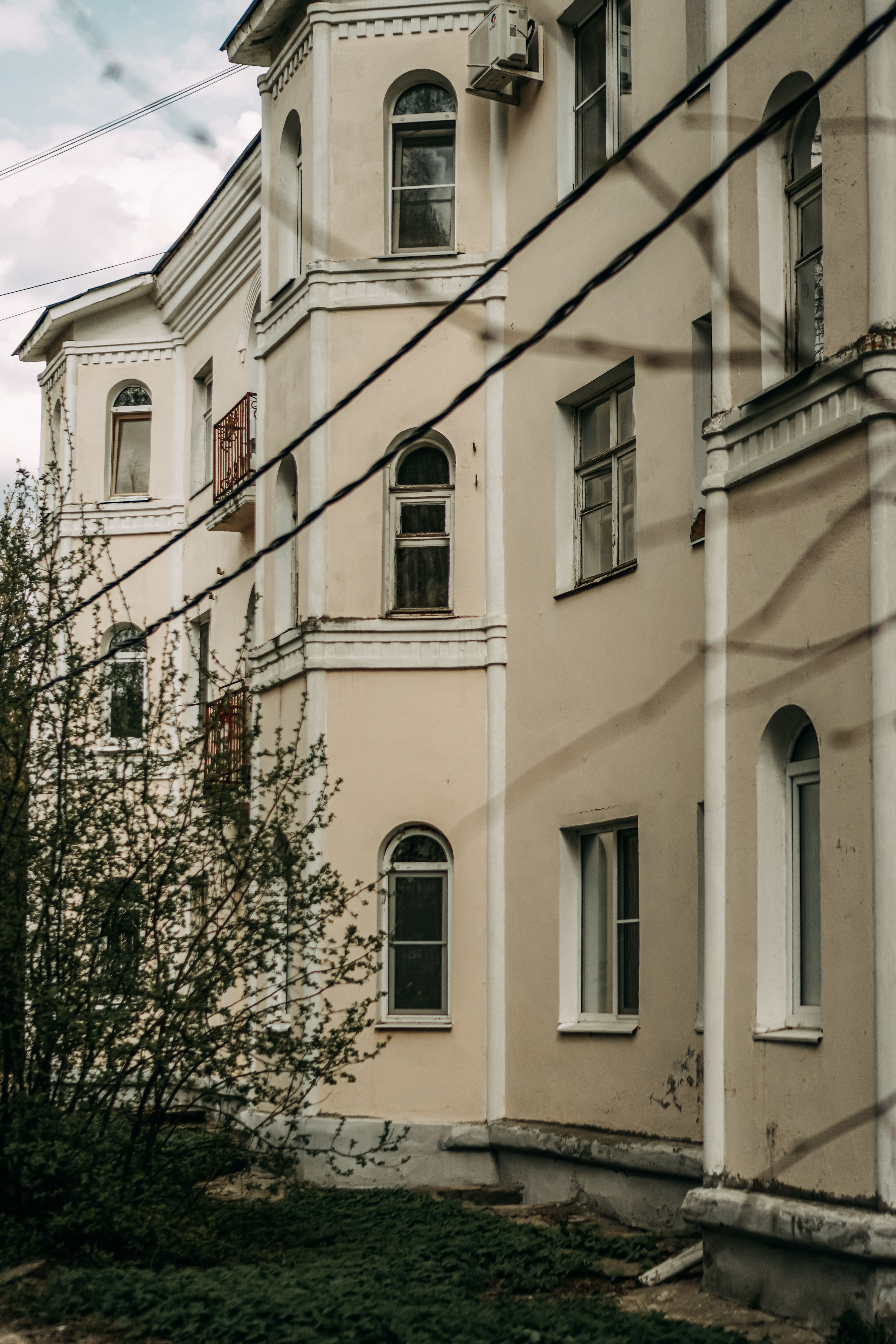 Bush near Building Wall · Free Stock Photo