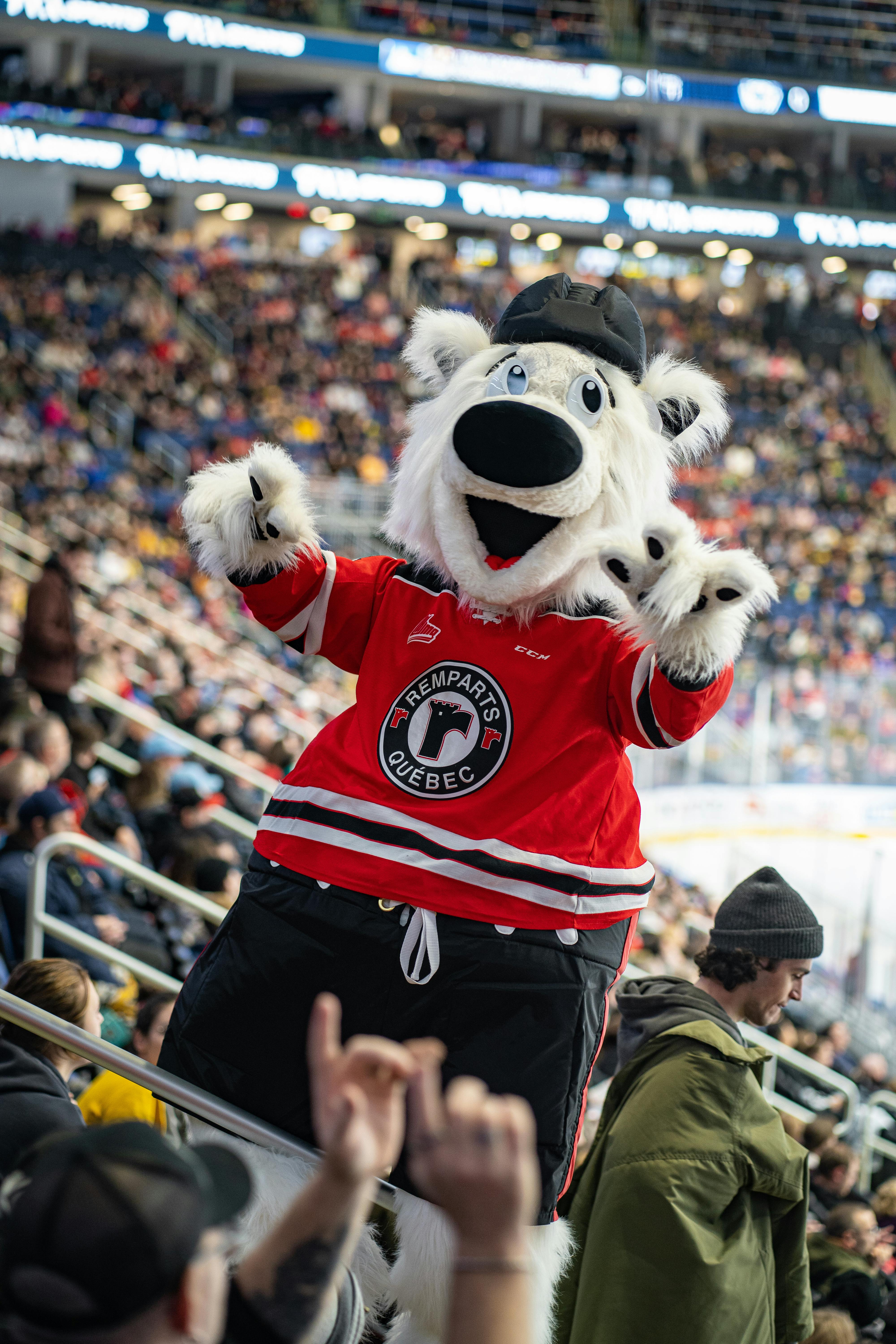 Team Mascot in Stands of Stadium · Free Stock Photo