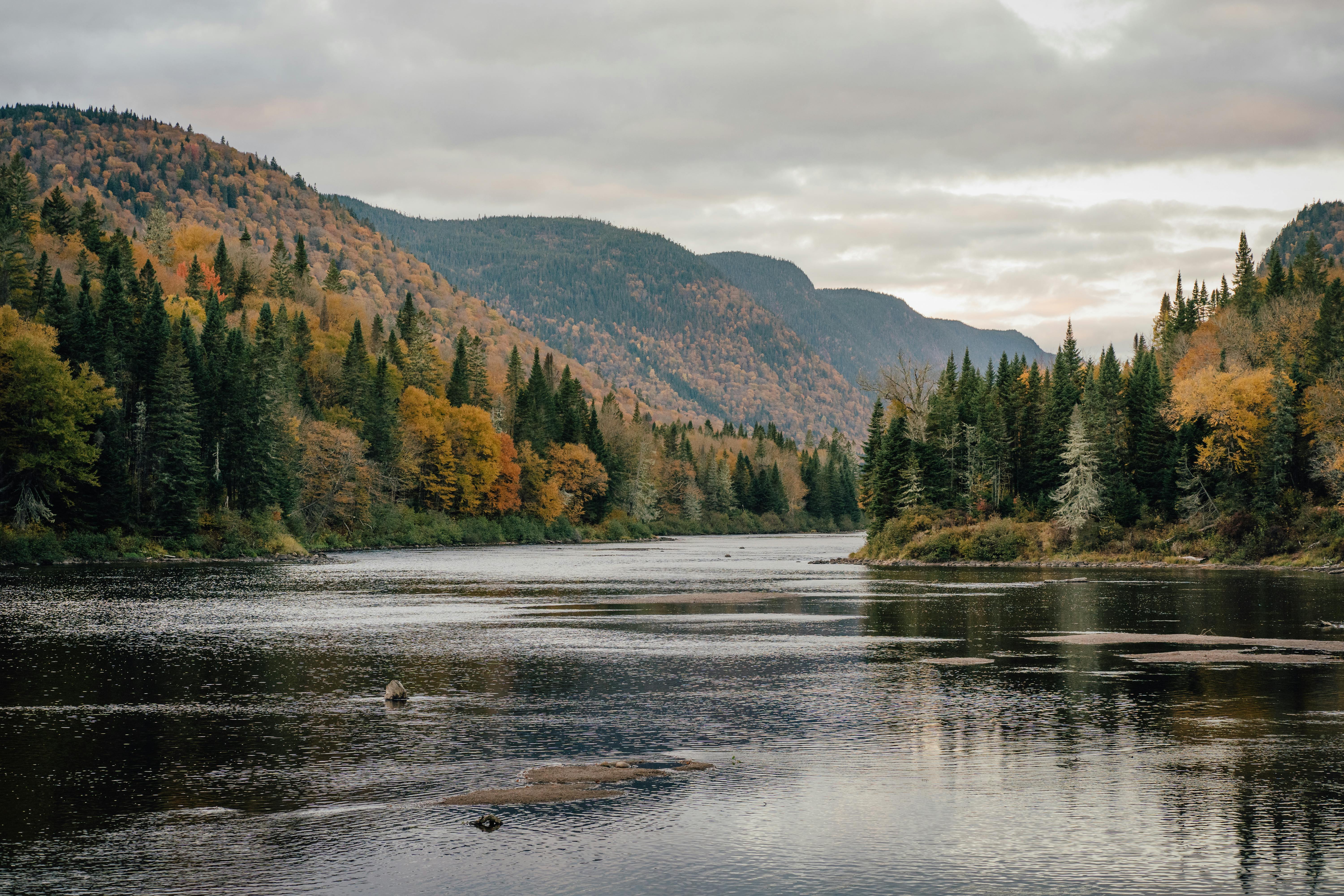 Autumn Mountain Landscape with River · Free Stock Photo