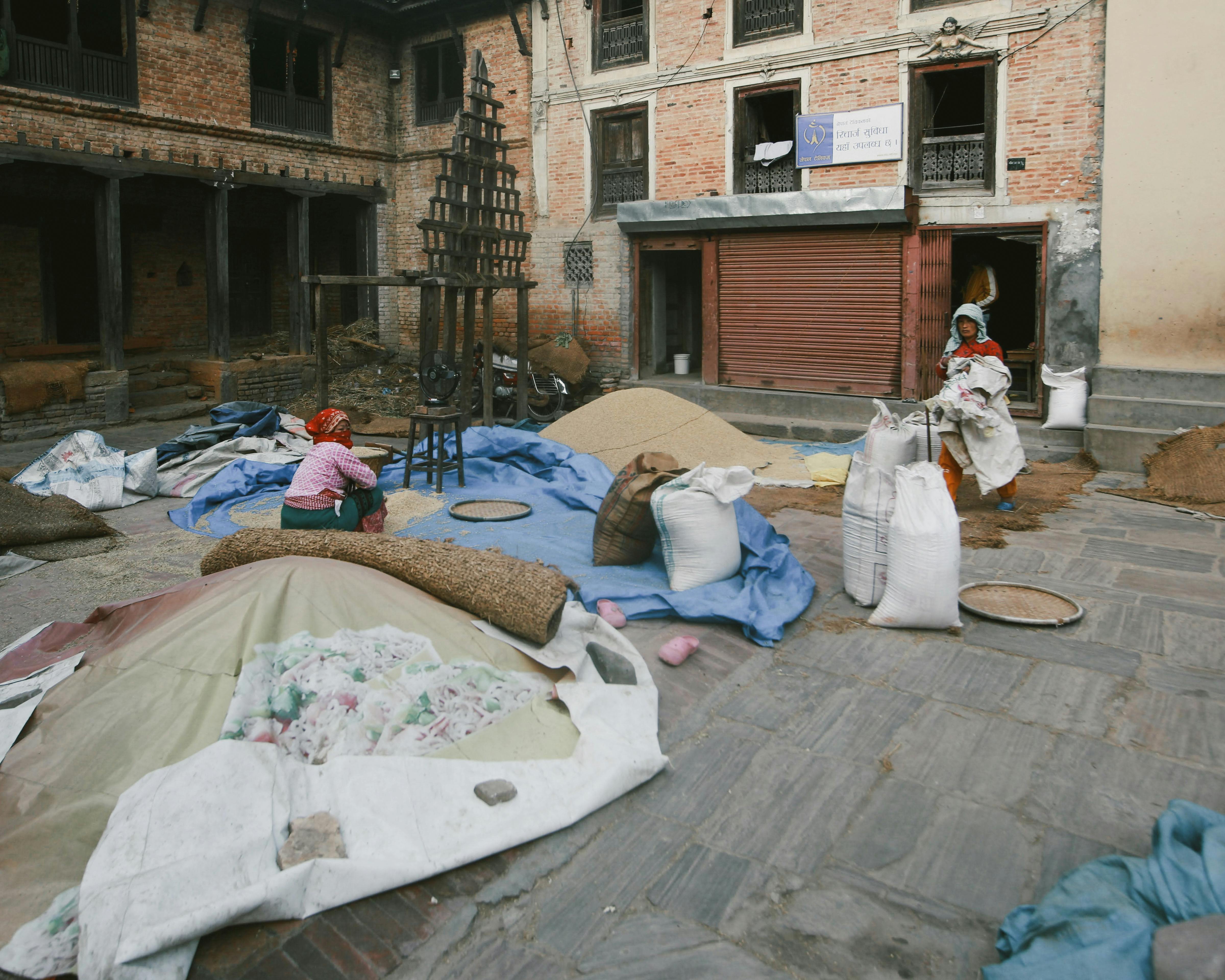 Village Crops Photos, Download The BEST Free Village Crops Stock Photos ...