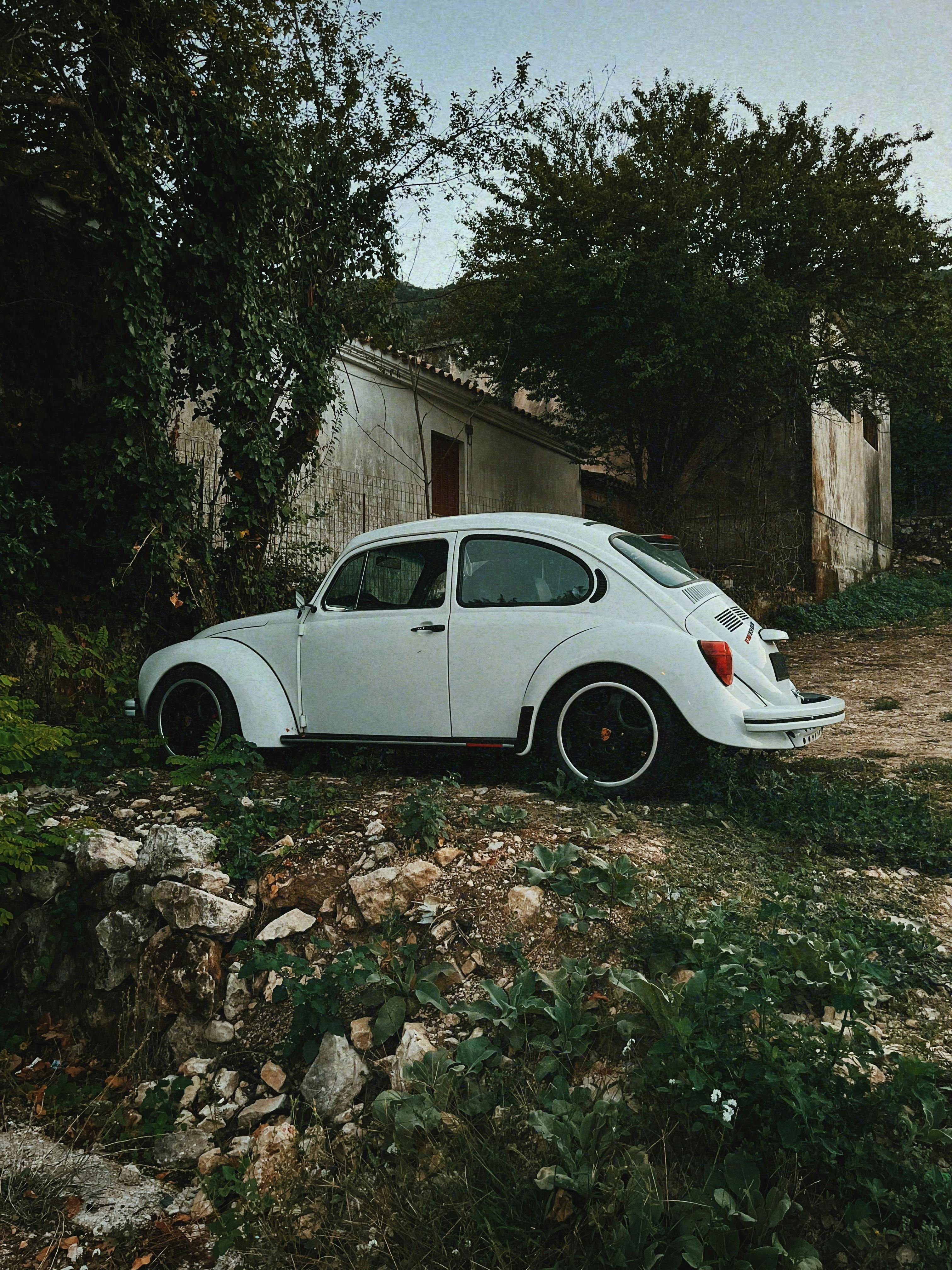 White Volkswagen Beetle in Village · Free Stock Photo