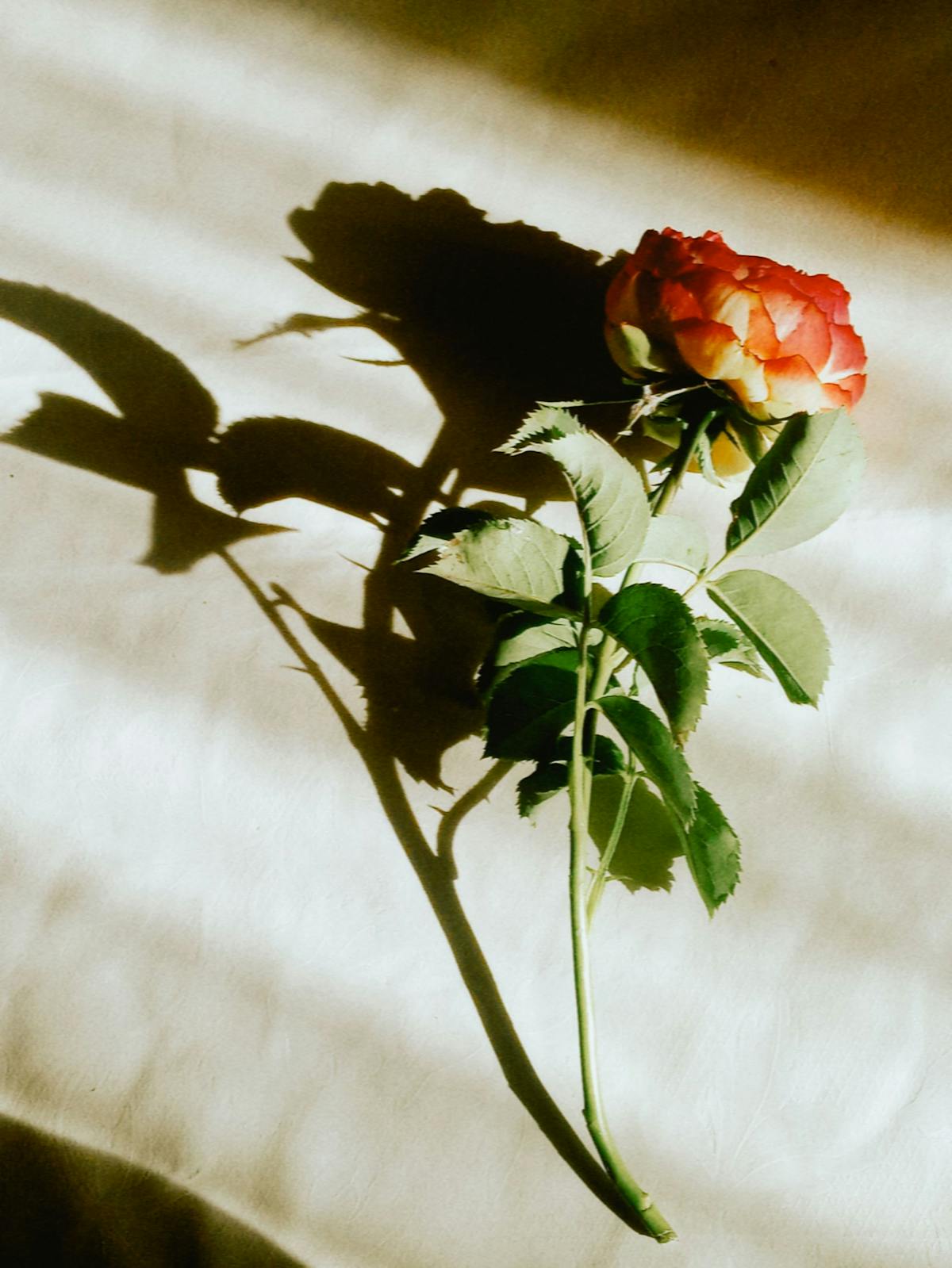 Casting Sheet Photos, Download The BEST Free Casting Sheet Stock Photos ...