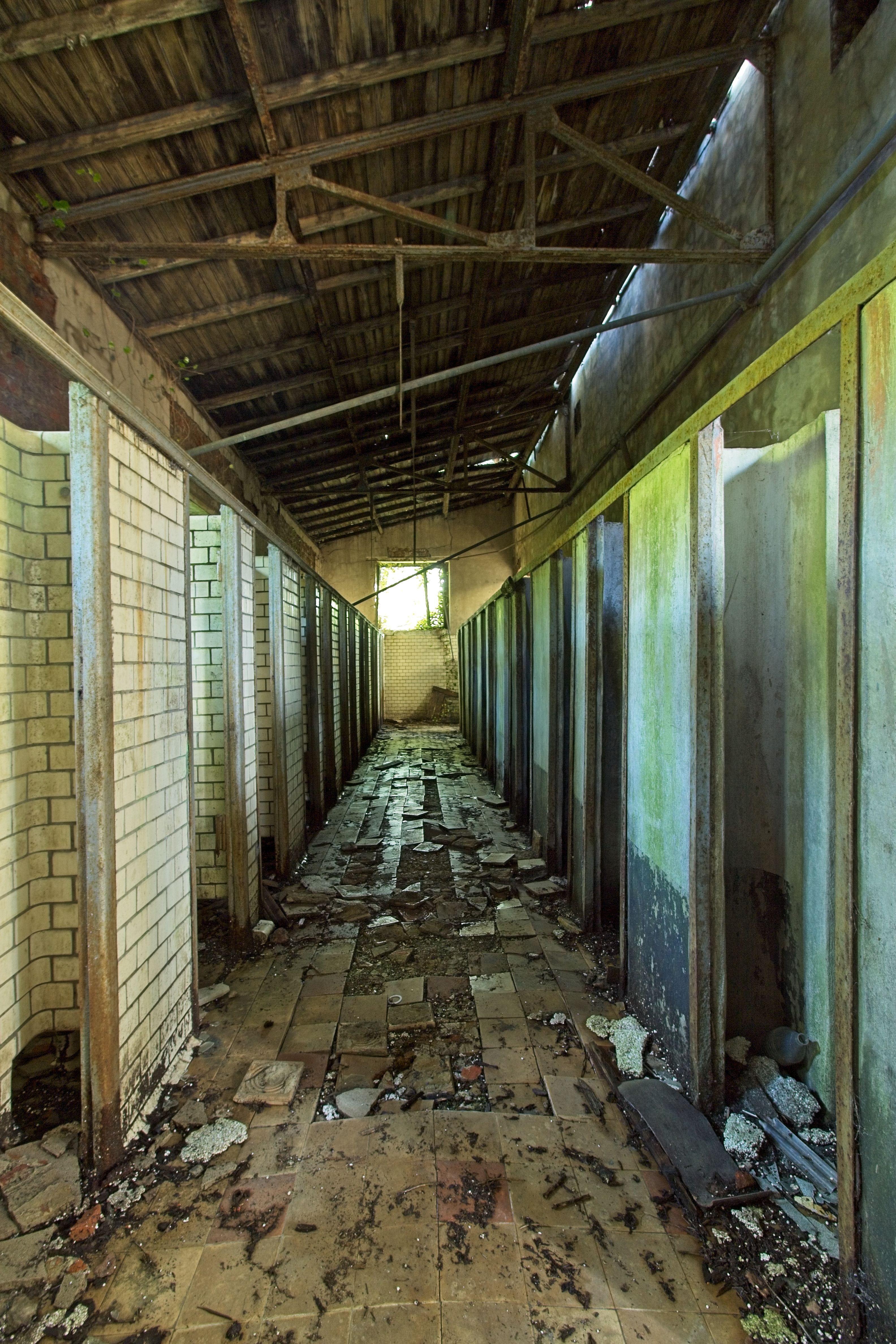 Rotting Corpse Photos, Download The BEST Free Rotting Corpse Stock ...