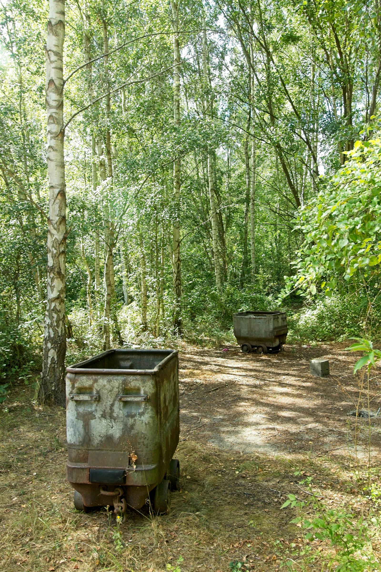 Seek The Old Paths Photos, Download The BEST Free Seek The Old Paths Stock Photos & HD Images