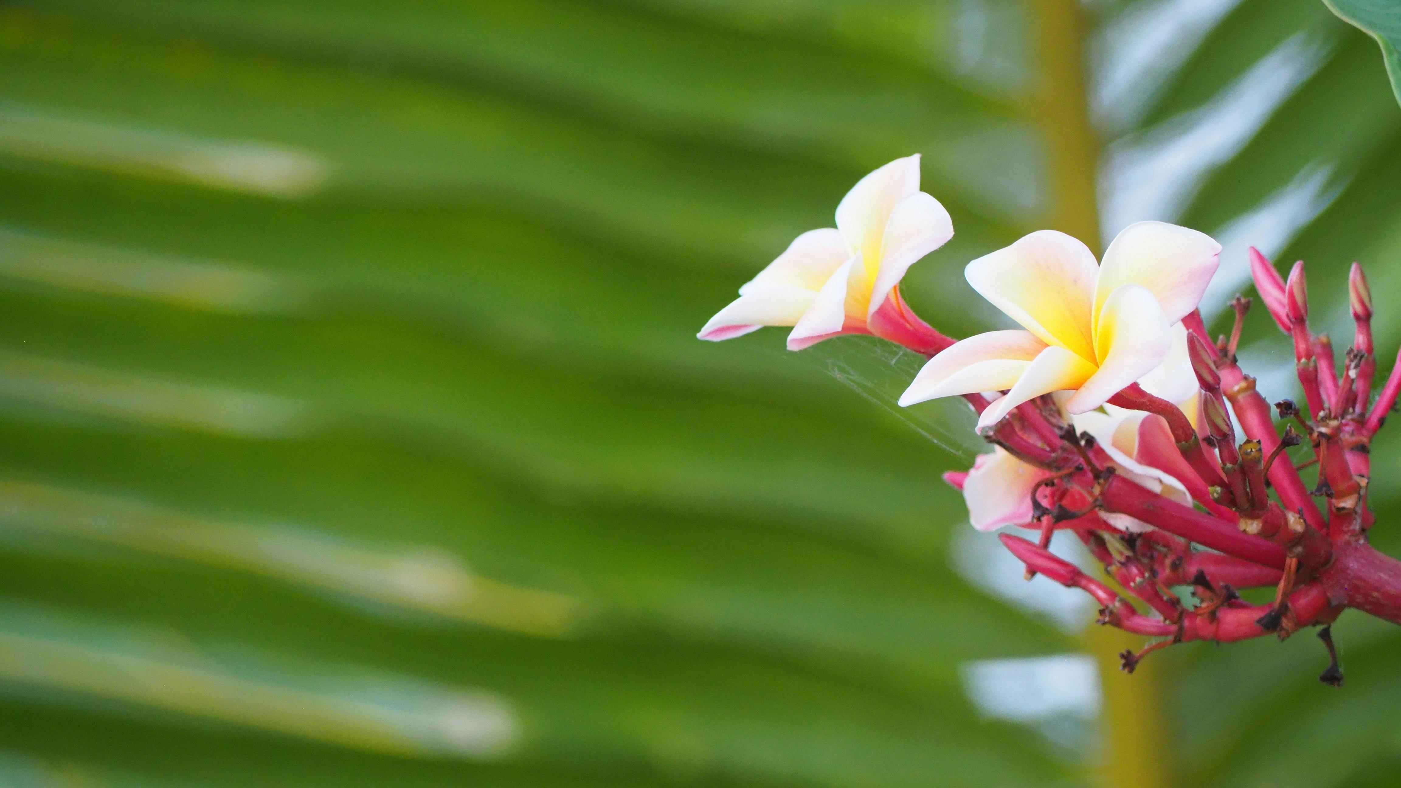 John Reimer - 사진