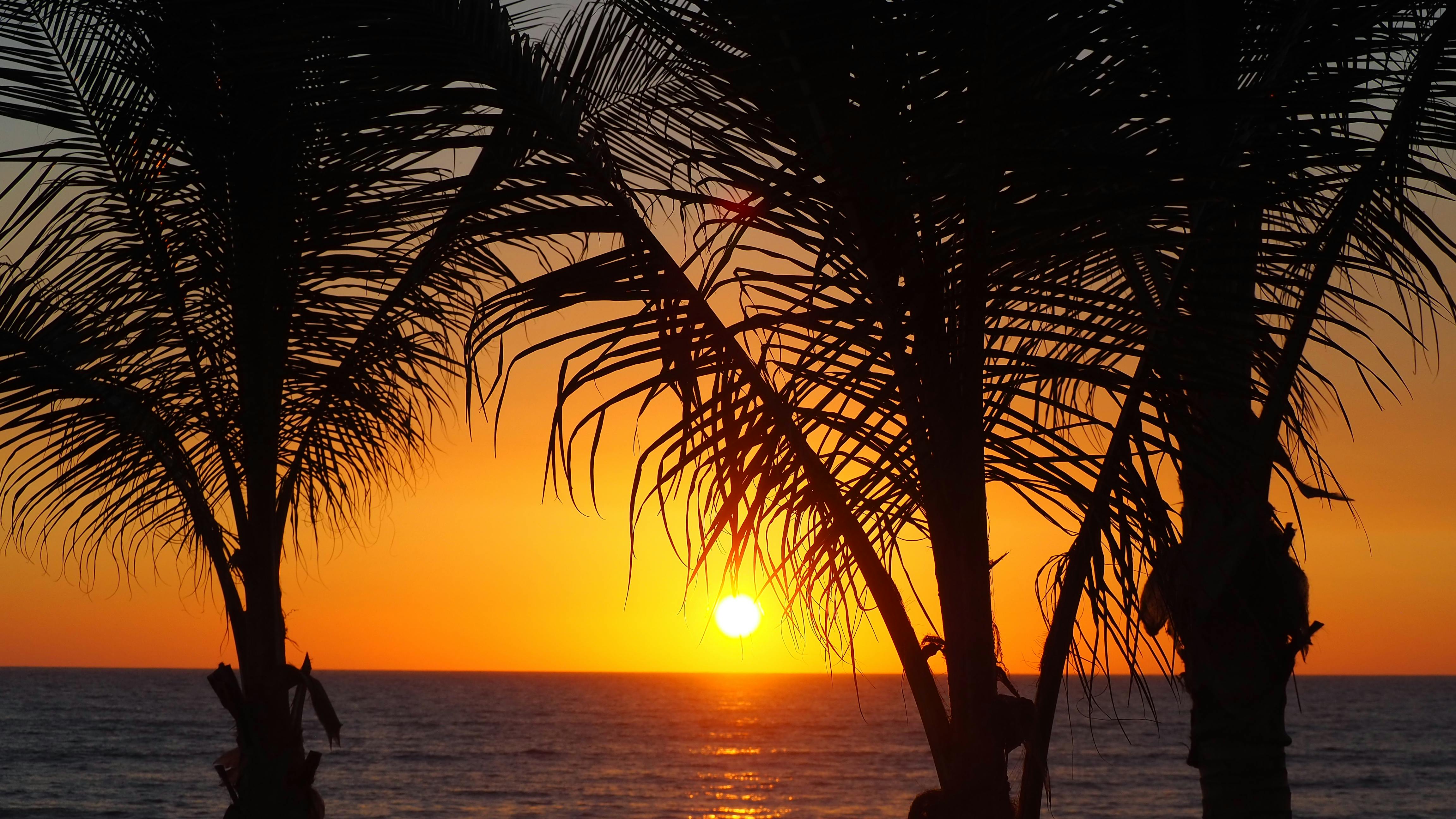 John Reimer - 사진