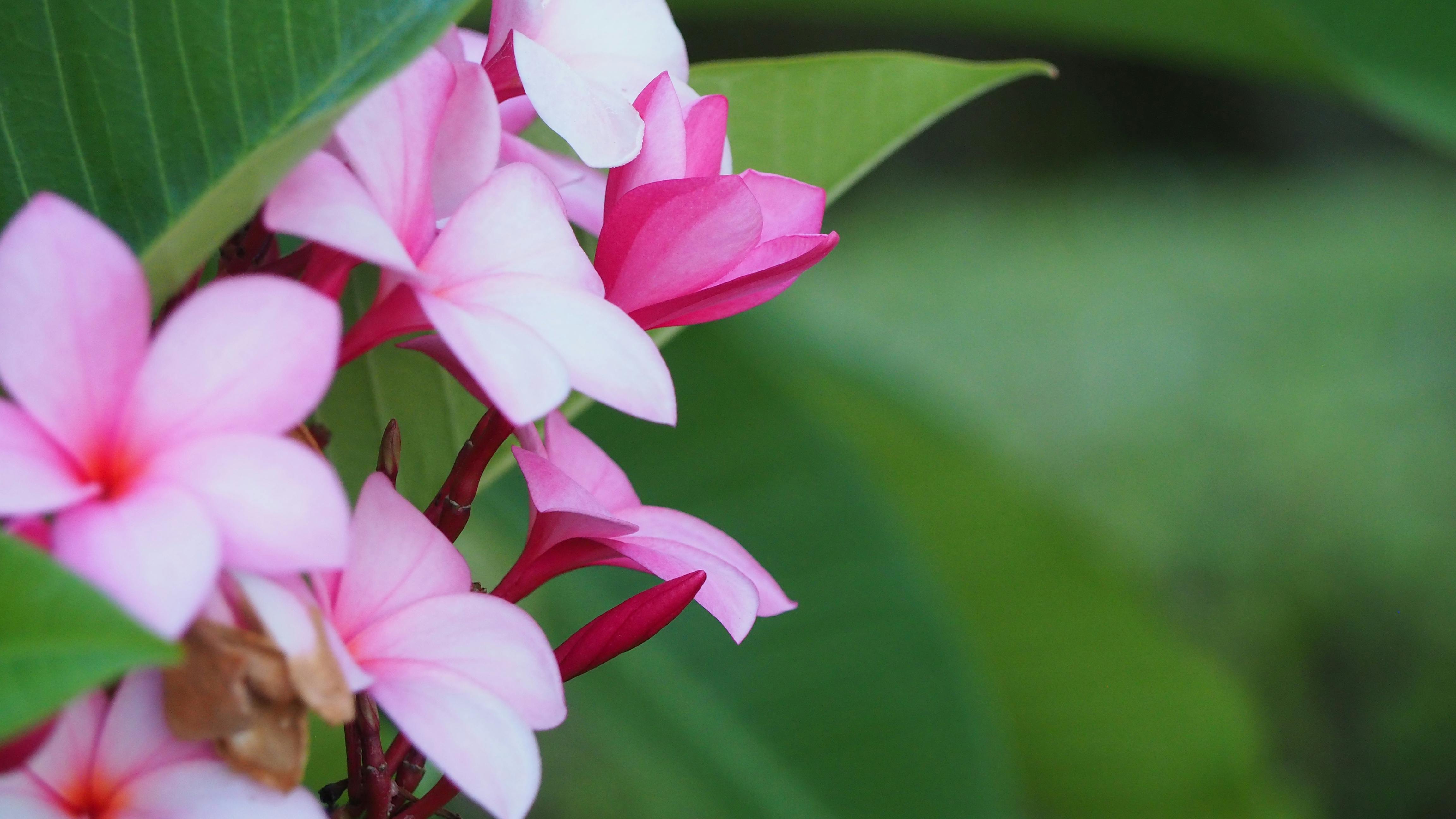 John Reimer – Fotografia