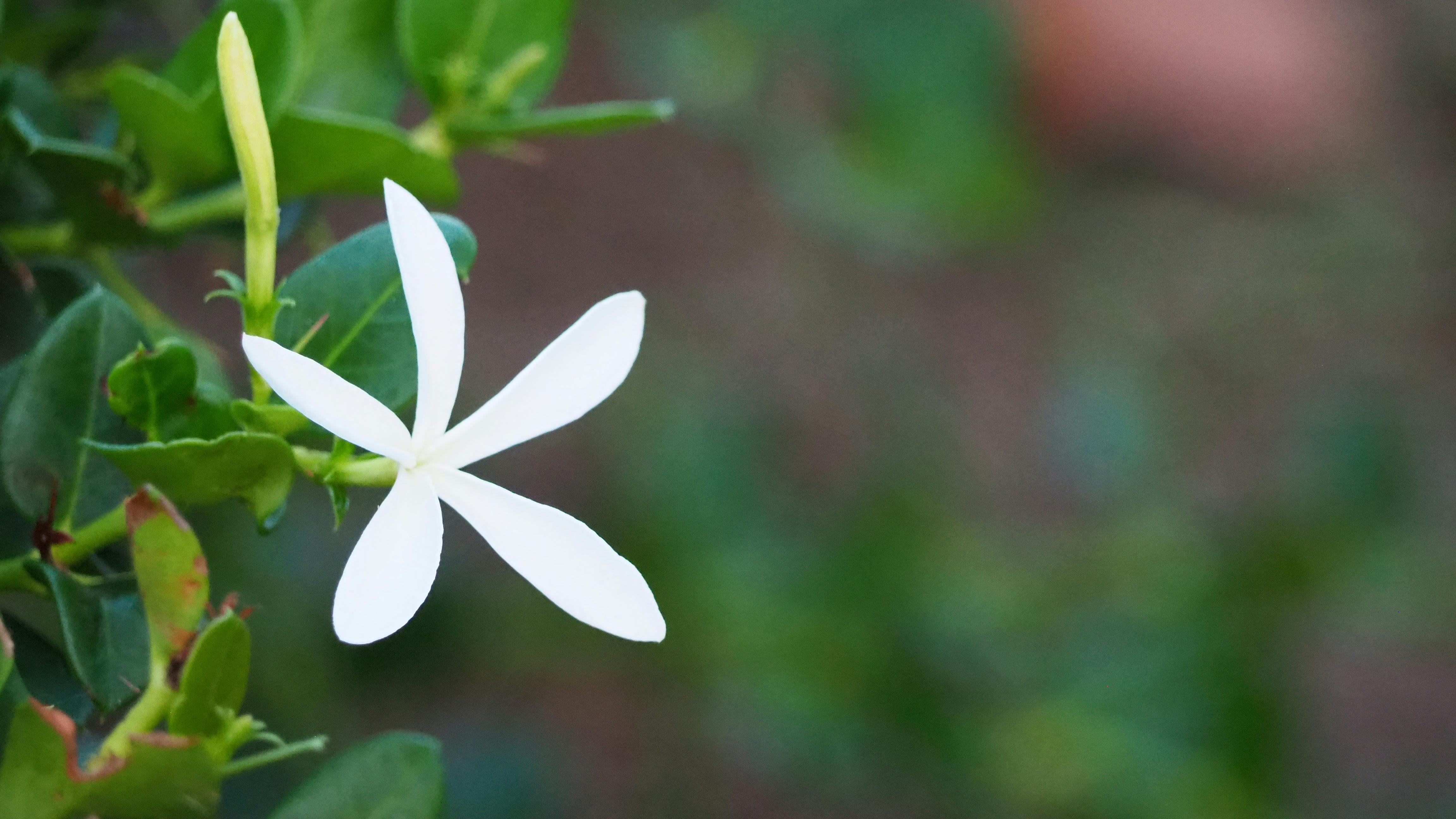 John Reimer - 사진