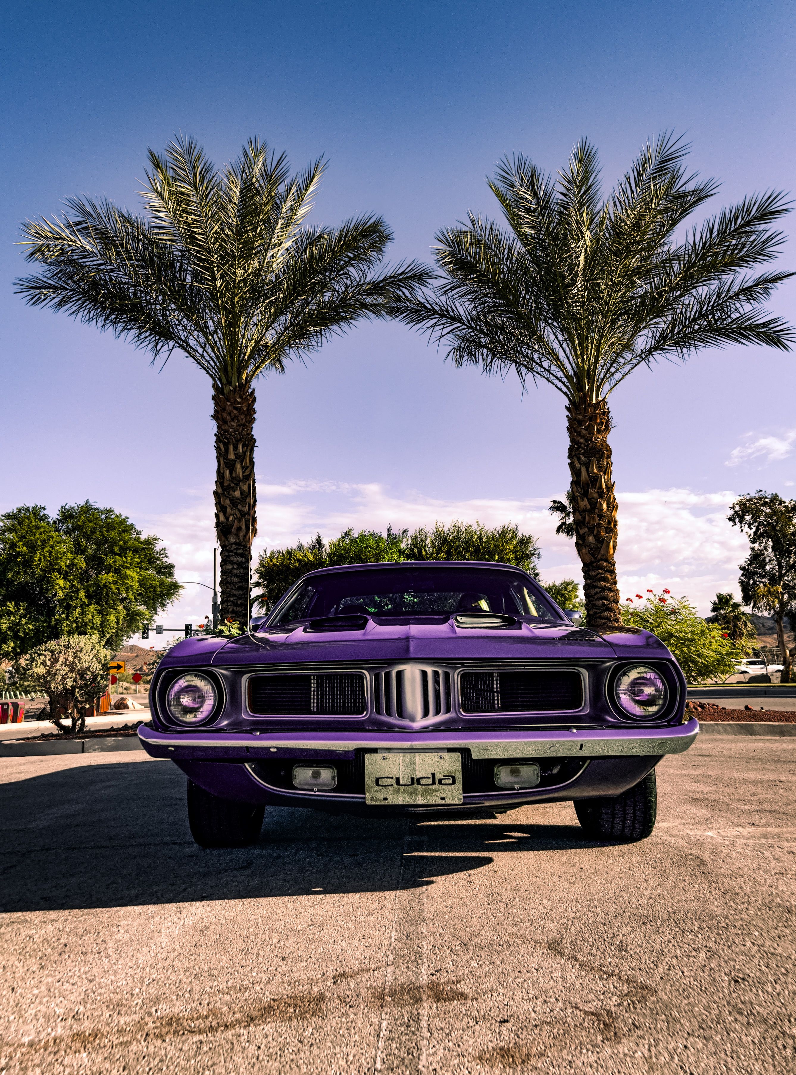 Vintage Car under Palm Trees · Free Stock Photo