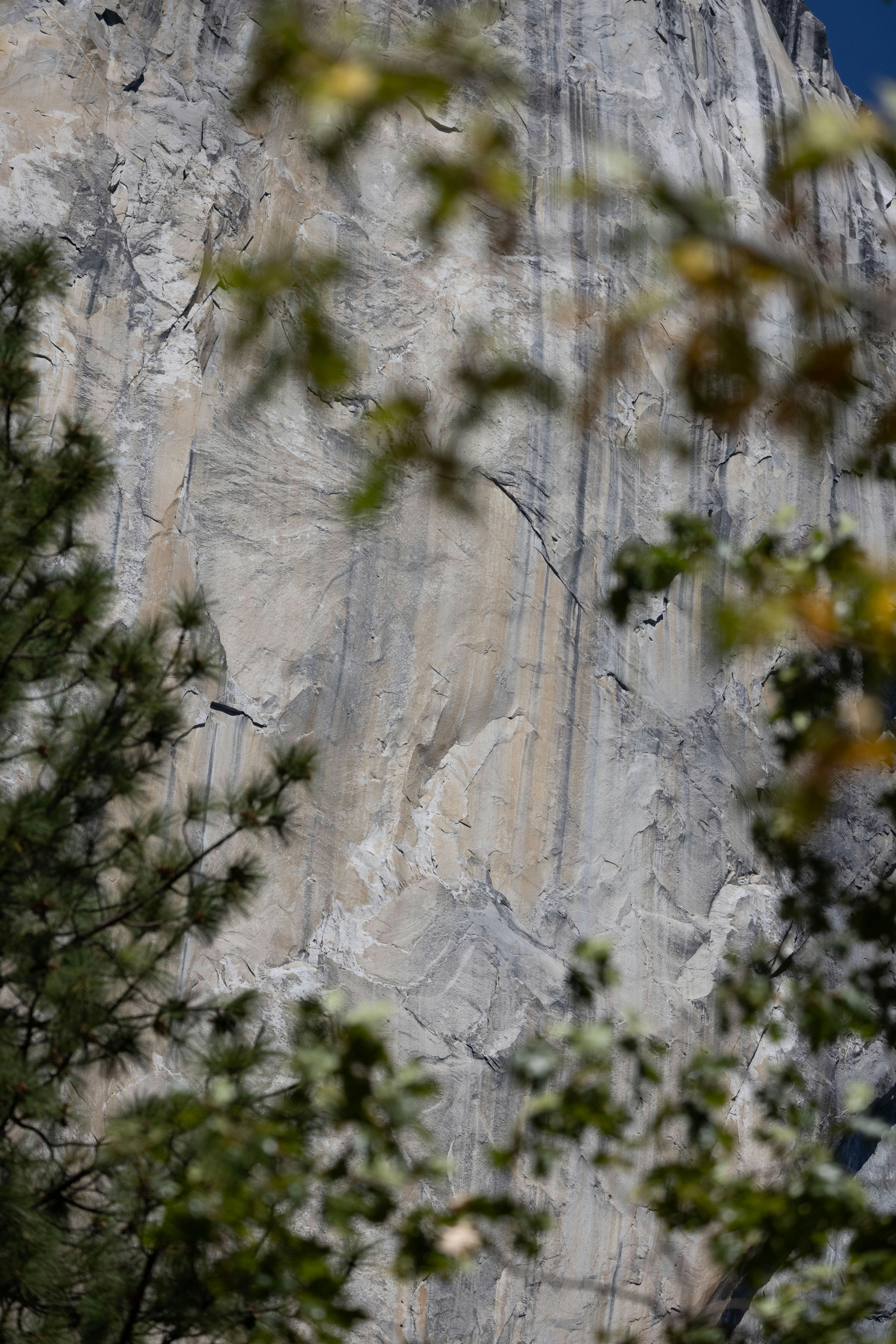 Steep Mountain Cliff Seen through Tree Branches · Free Stock Photo