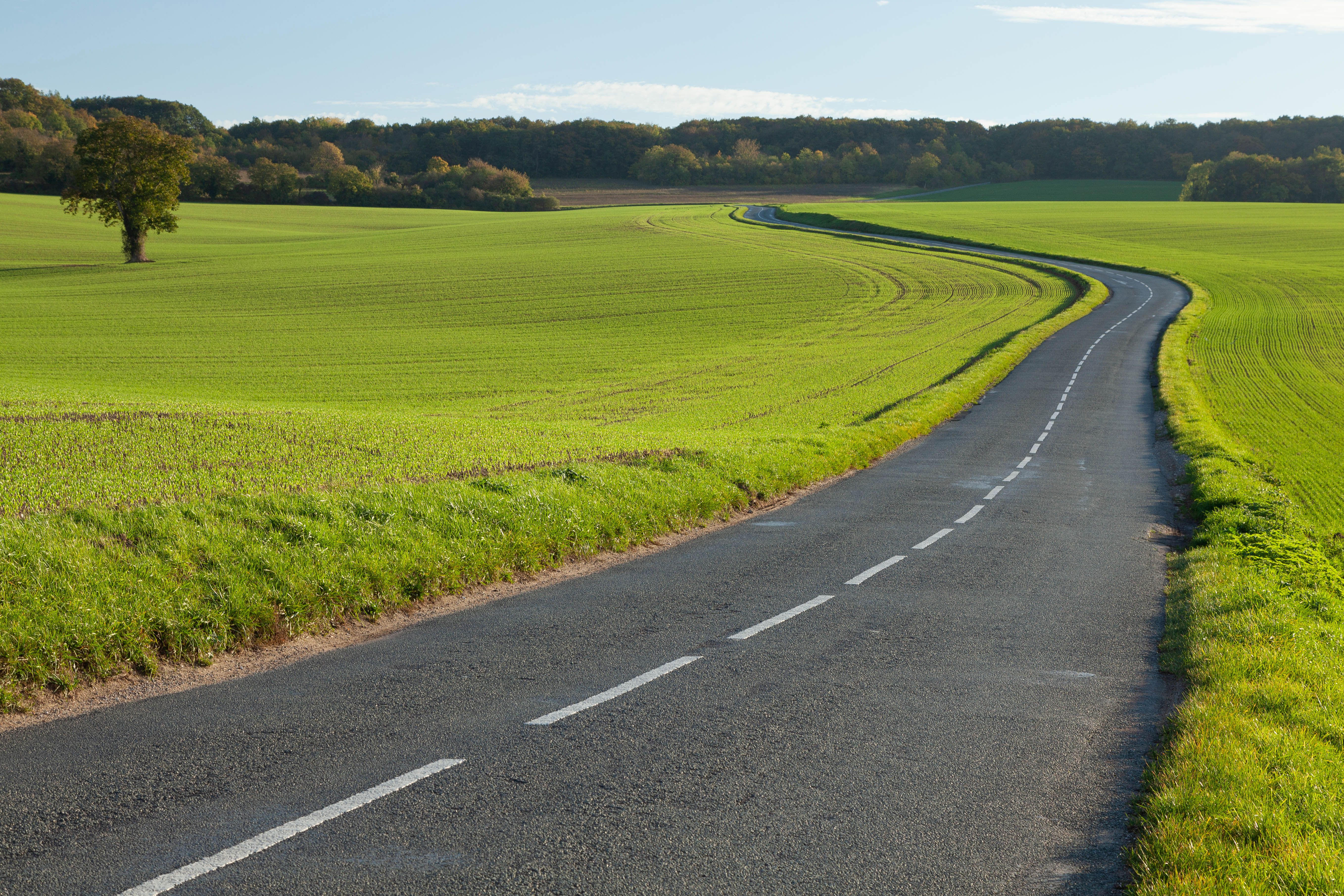 Empty Road by Field · Free Stock Photo