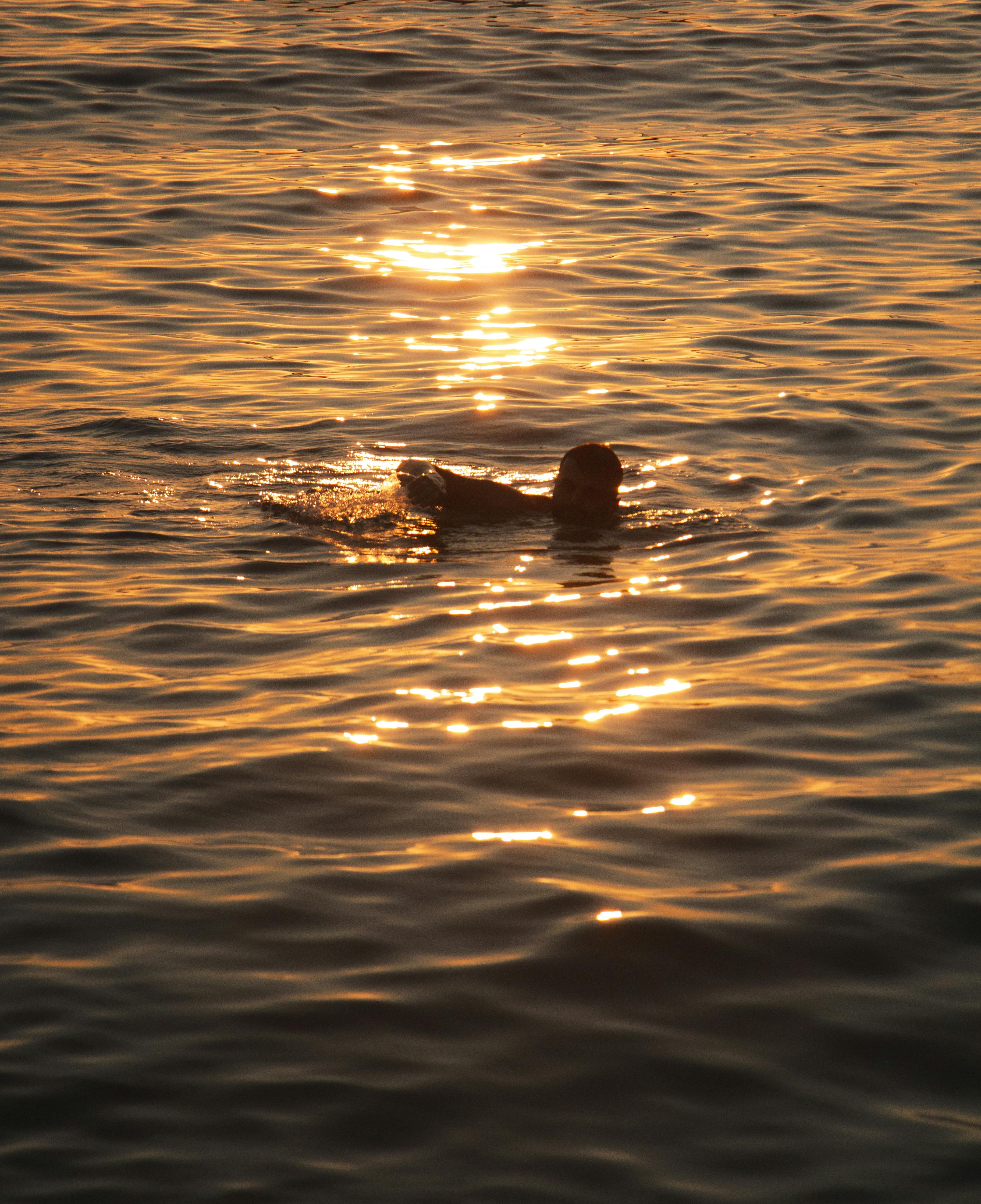 Shiny Man Photos, Download The BEST Free Shiny Man Stock Photos & HD Images