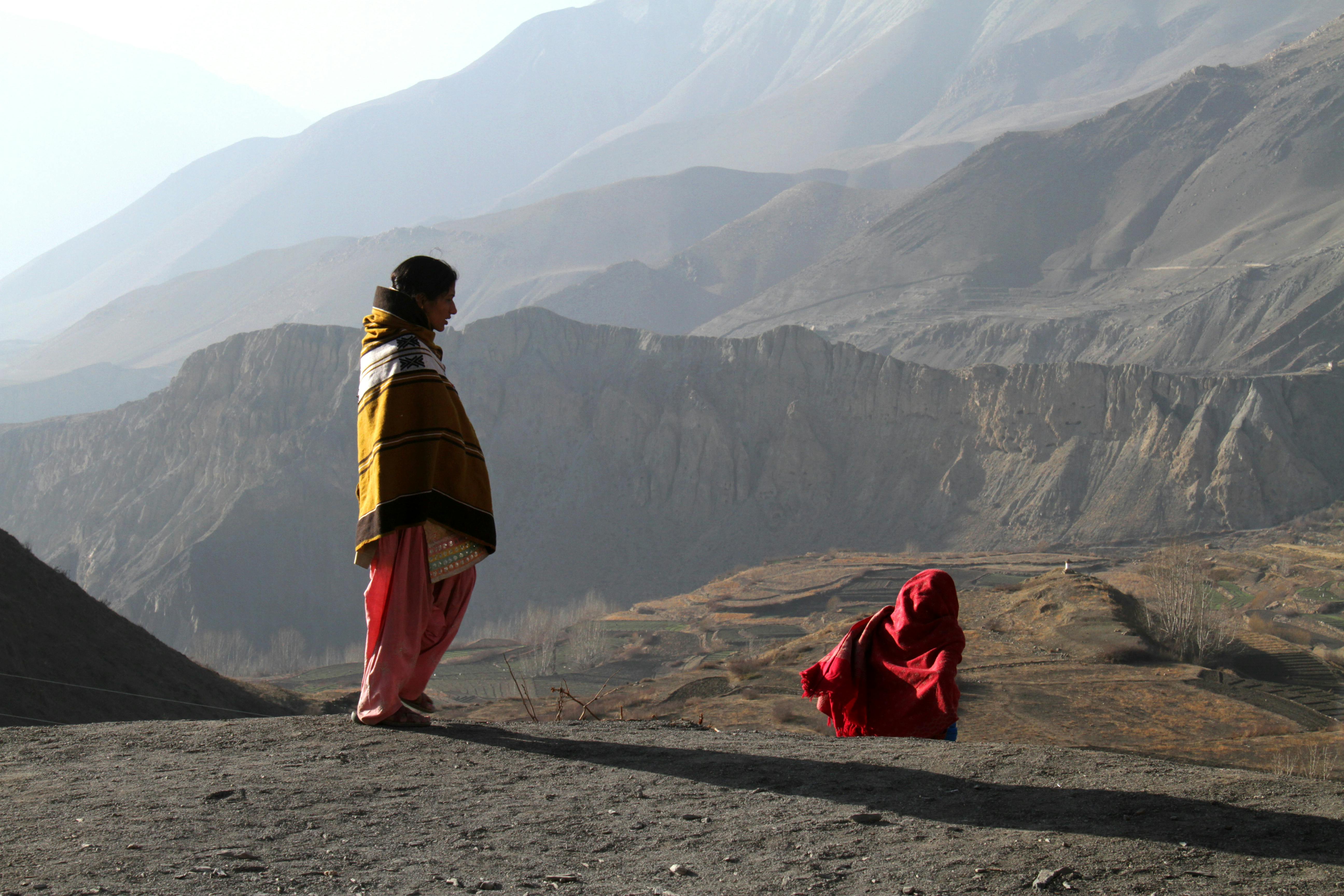 A Domesticated Yak with a Saddle · Free Stock Photo