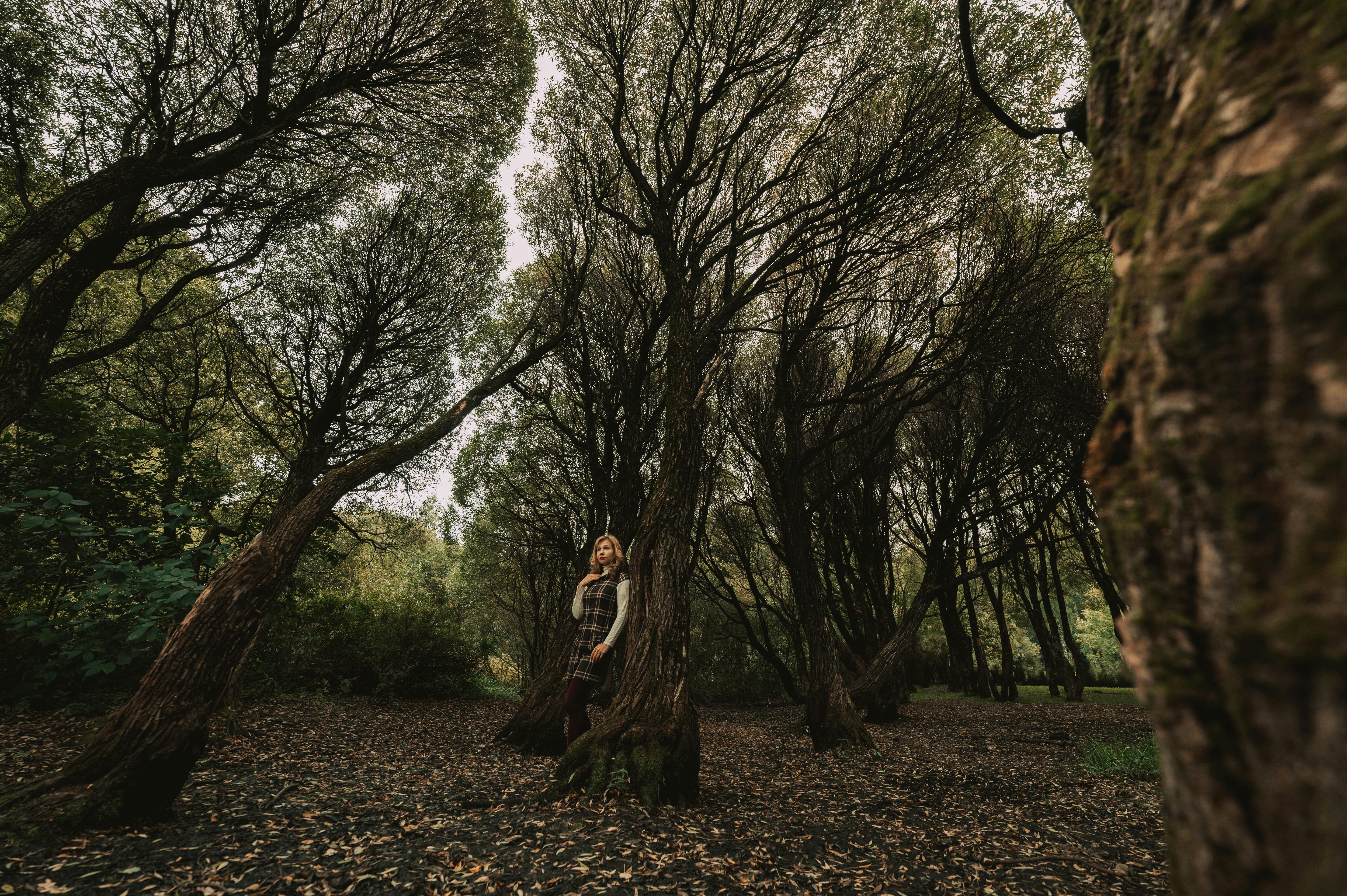 Young Woman Leaning against a Tree in a Forest · Free Stock Photo