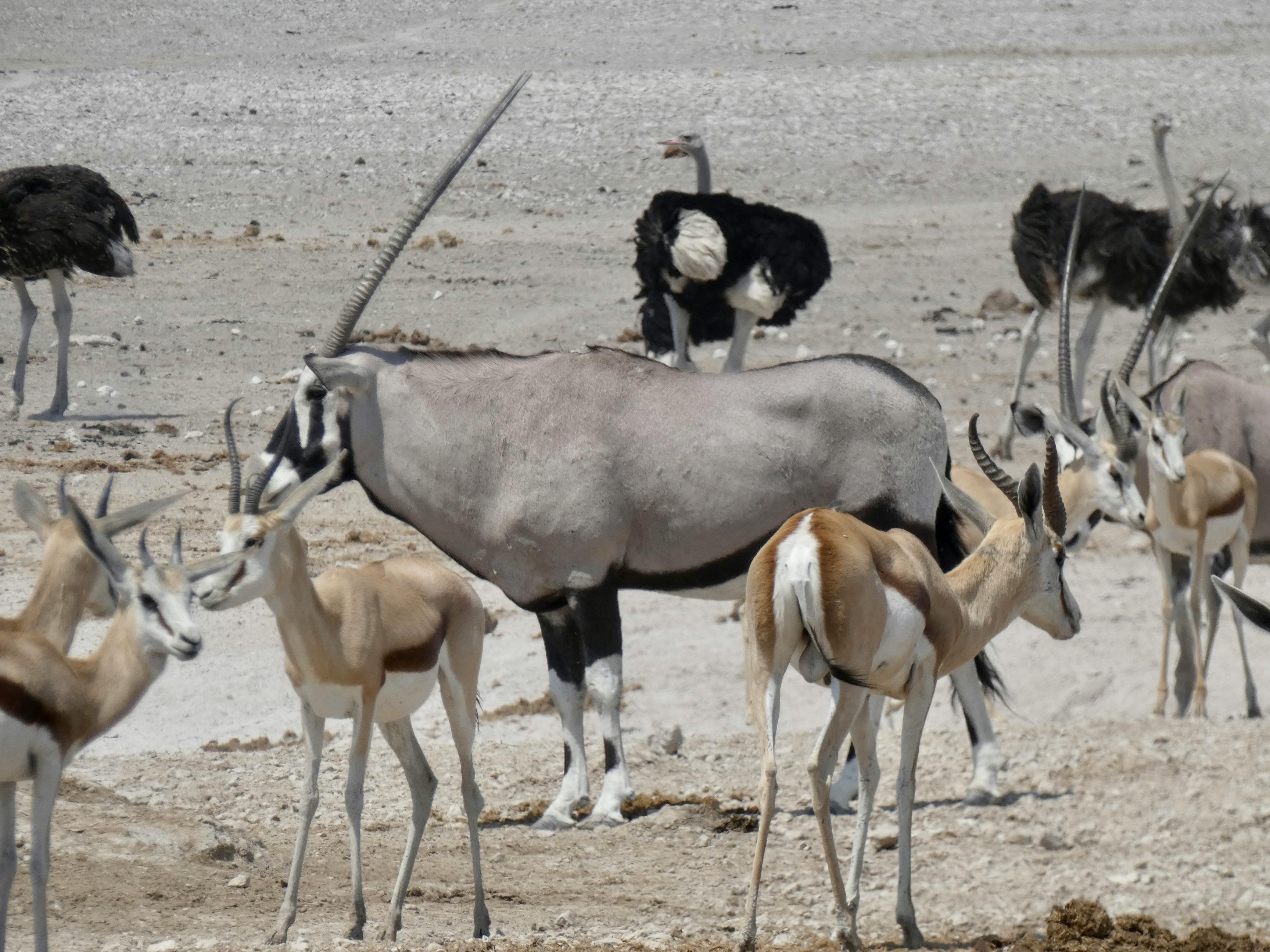 Catherine Harding Wiltshire - Photography