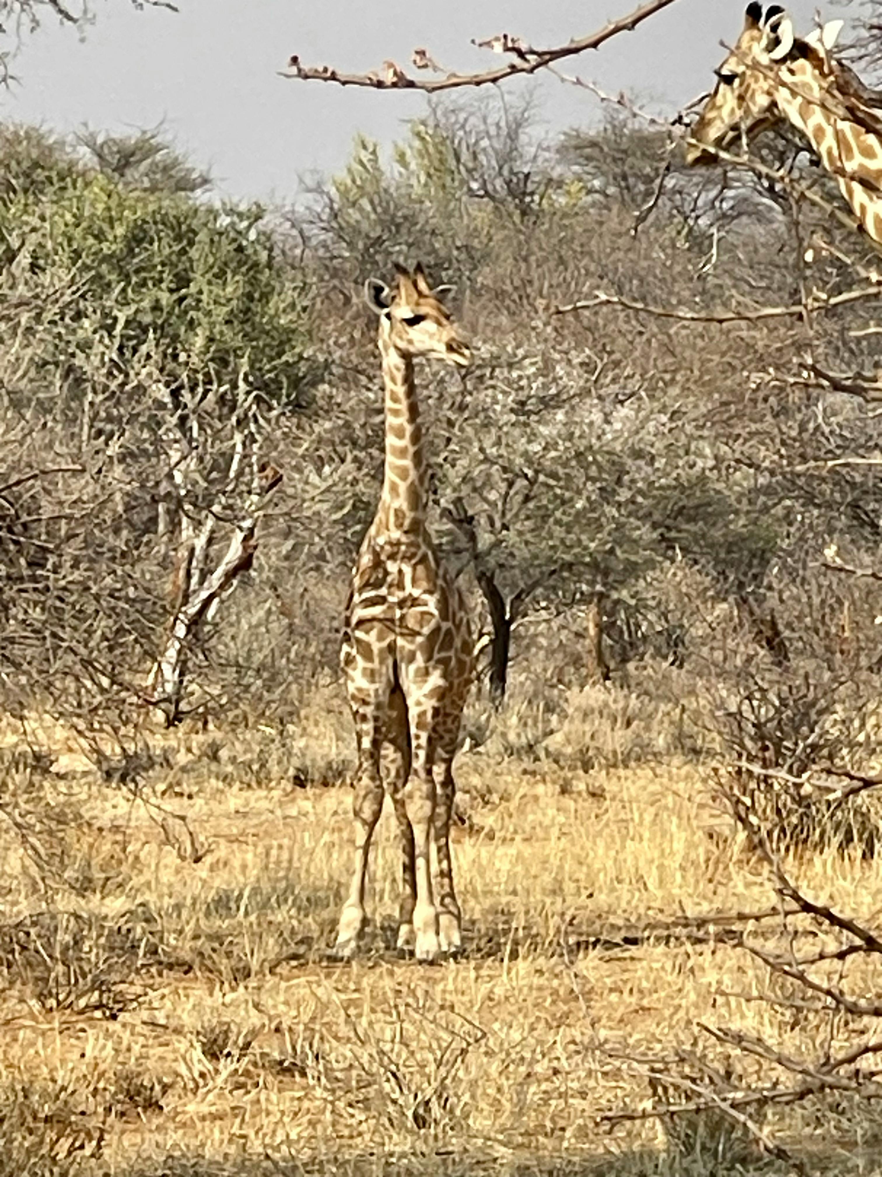 Catherine Harding Wiltshire - Photography