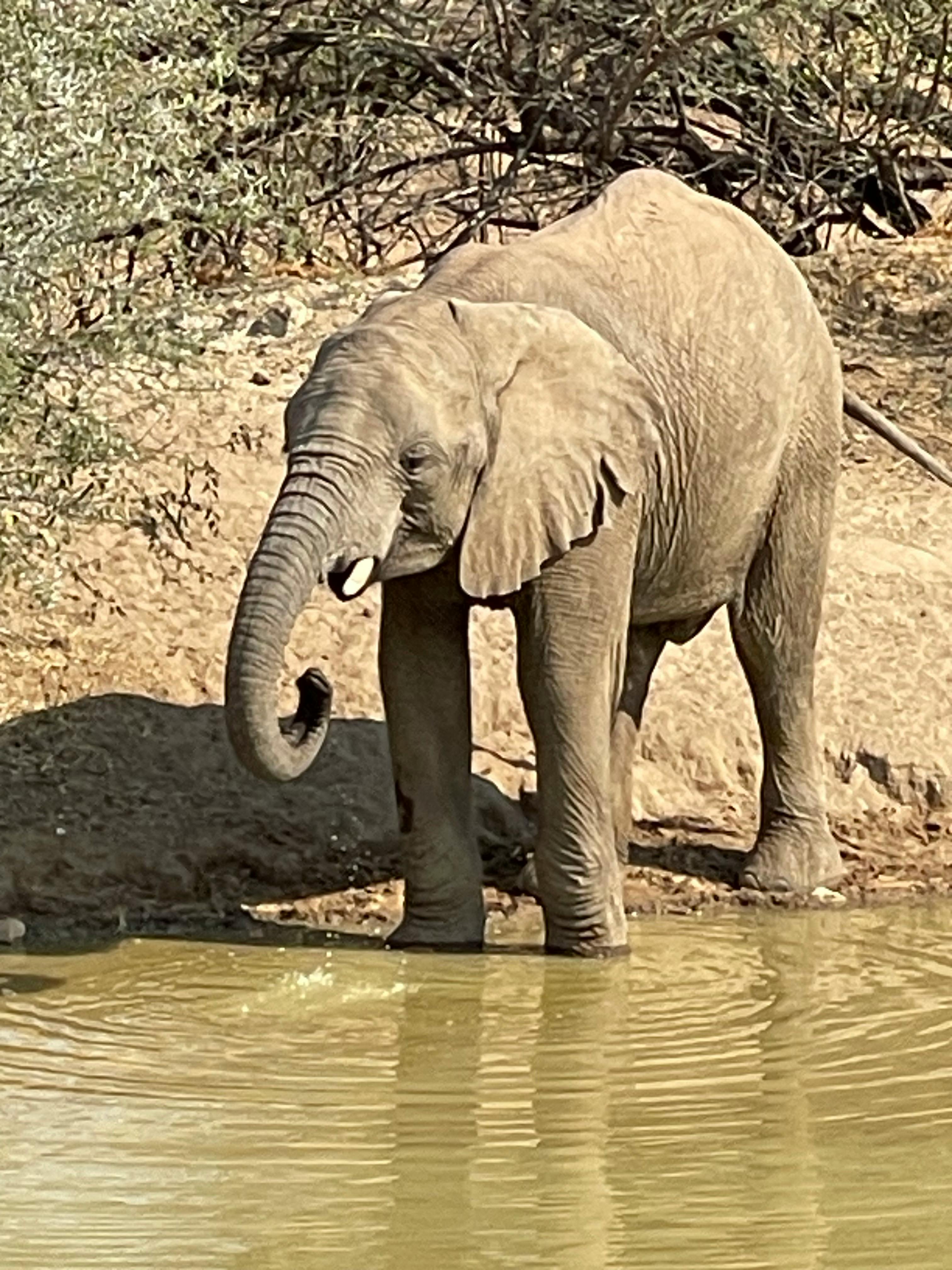 Catherine Harding Wiltshire - Photography